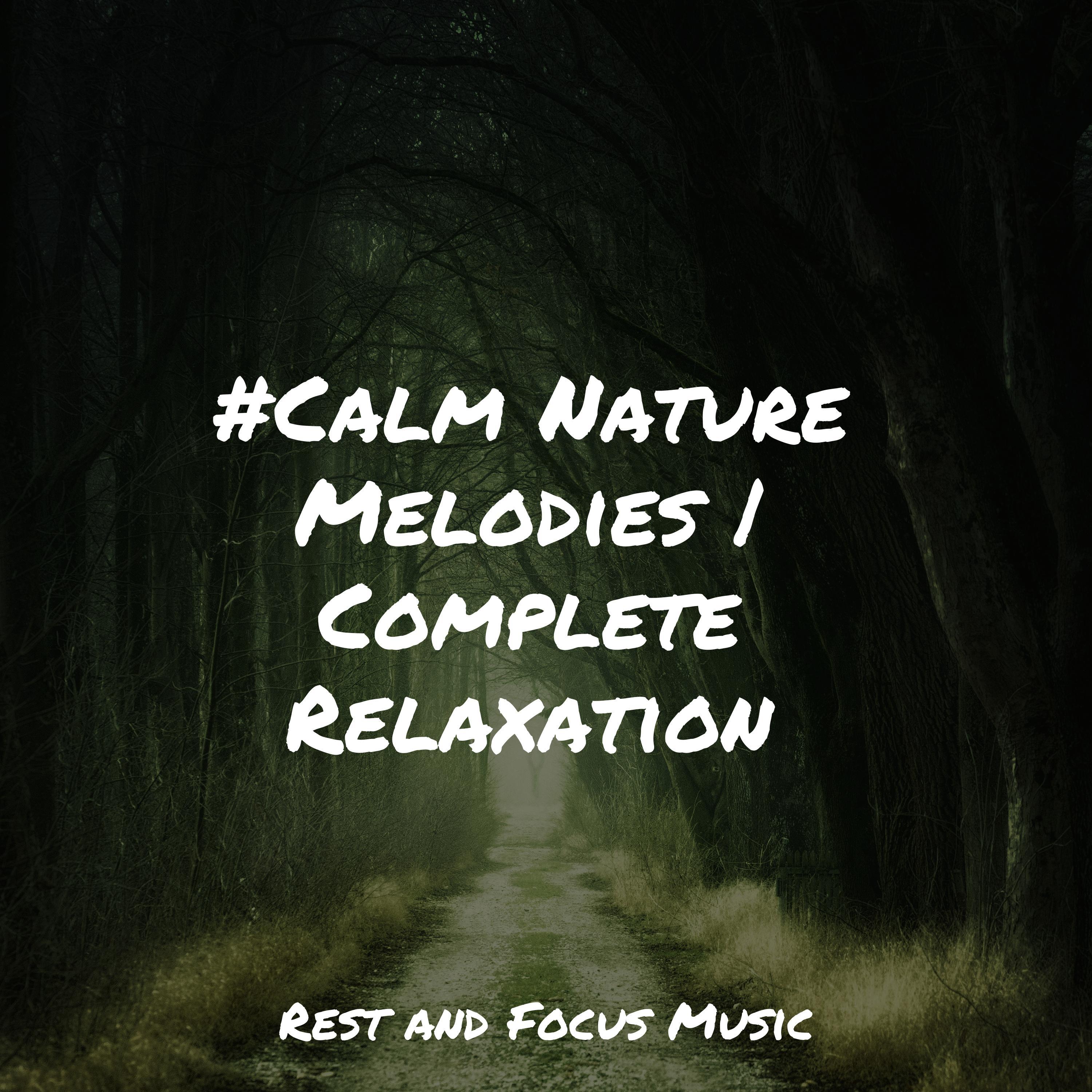 #Calm Nature Melodies | Complete Relaxation - Spa Music Collective - 专辑 ...