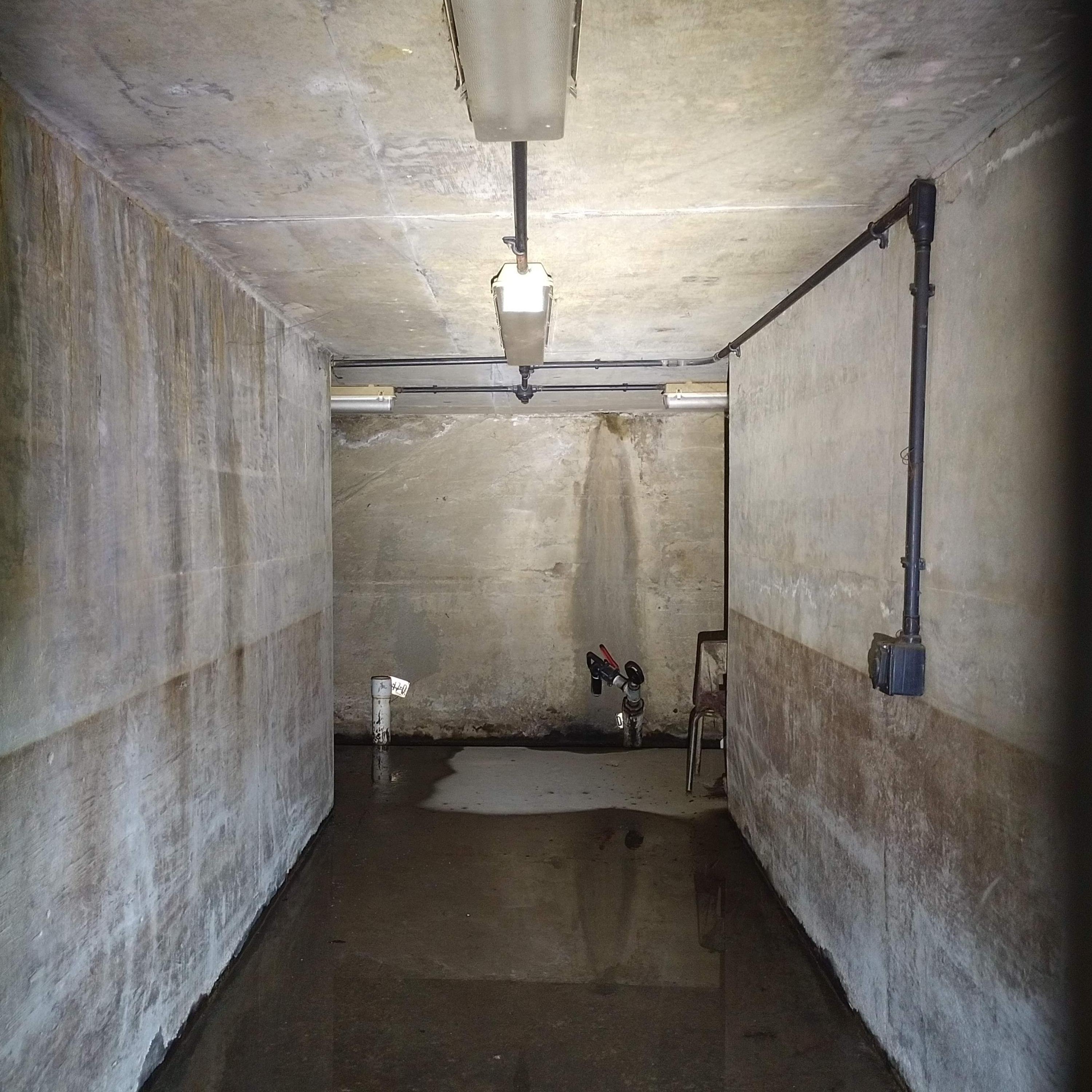 Your Dreams - Libby Beard - 专辑 - 网易云音乐