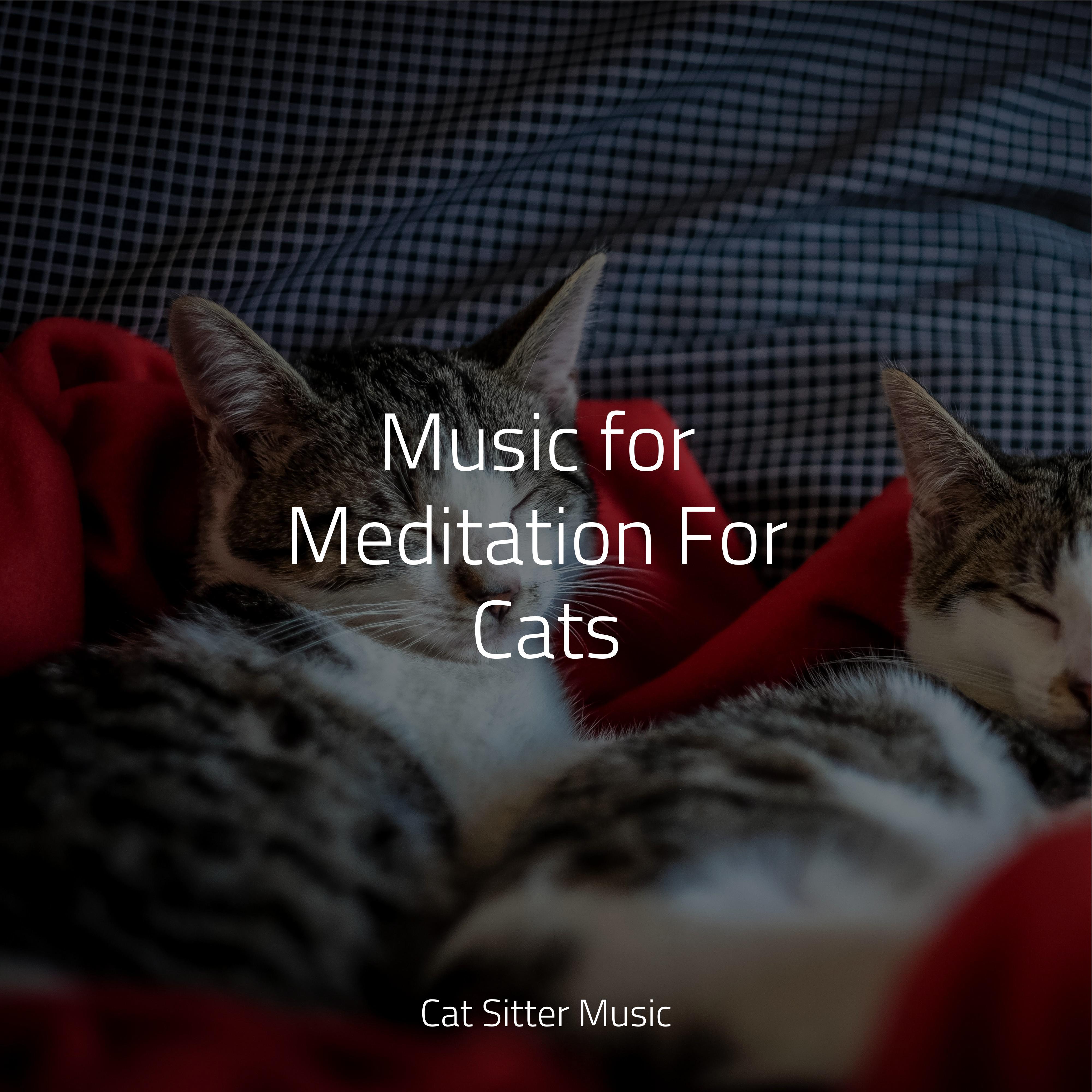 Meandering Stream - Jazz Music for Cats/Music for Cats Project/Music ...