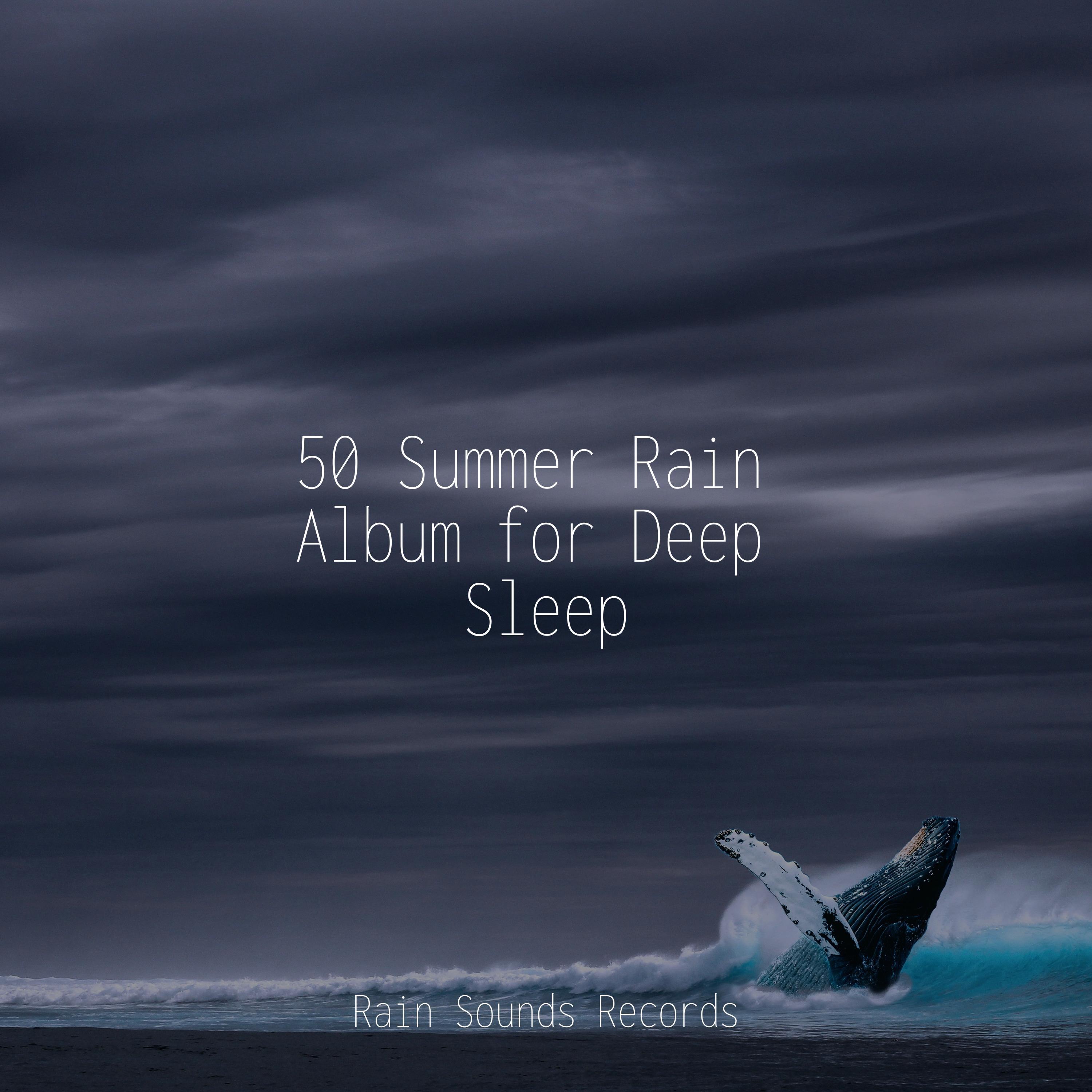 50 Summer Rain Album for Deep Sleep - Rain for Deep Sleep - 专辑 - 网易云音乐