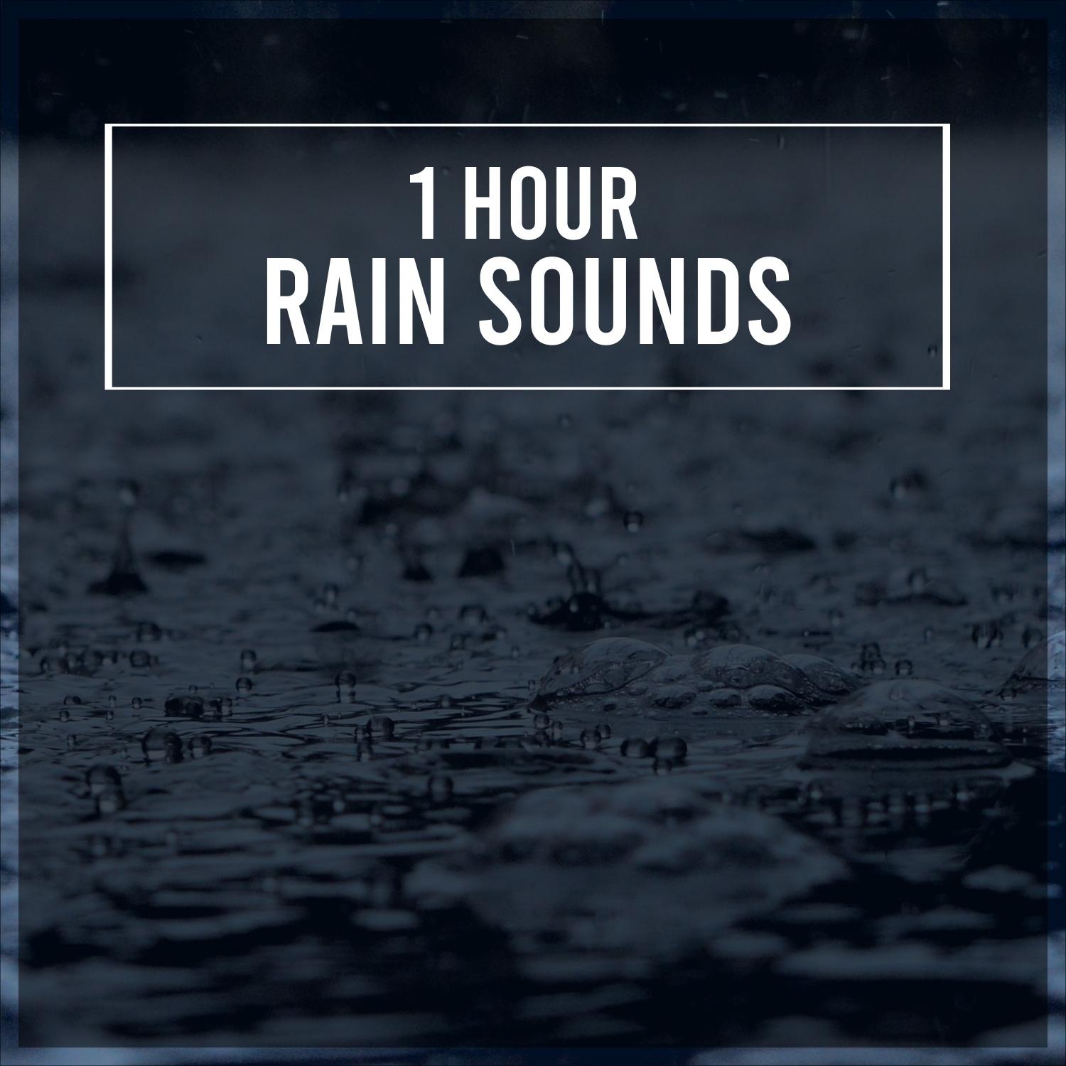 1 Hour Rain Sounds - Loopable, Natural Calming Noises to Soothe the ...