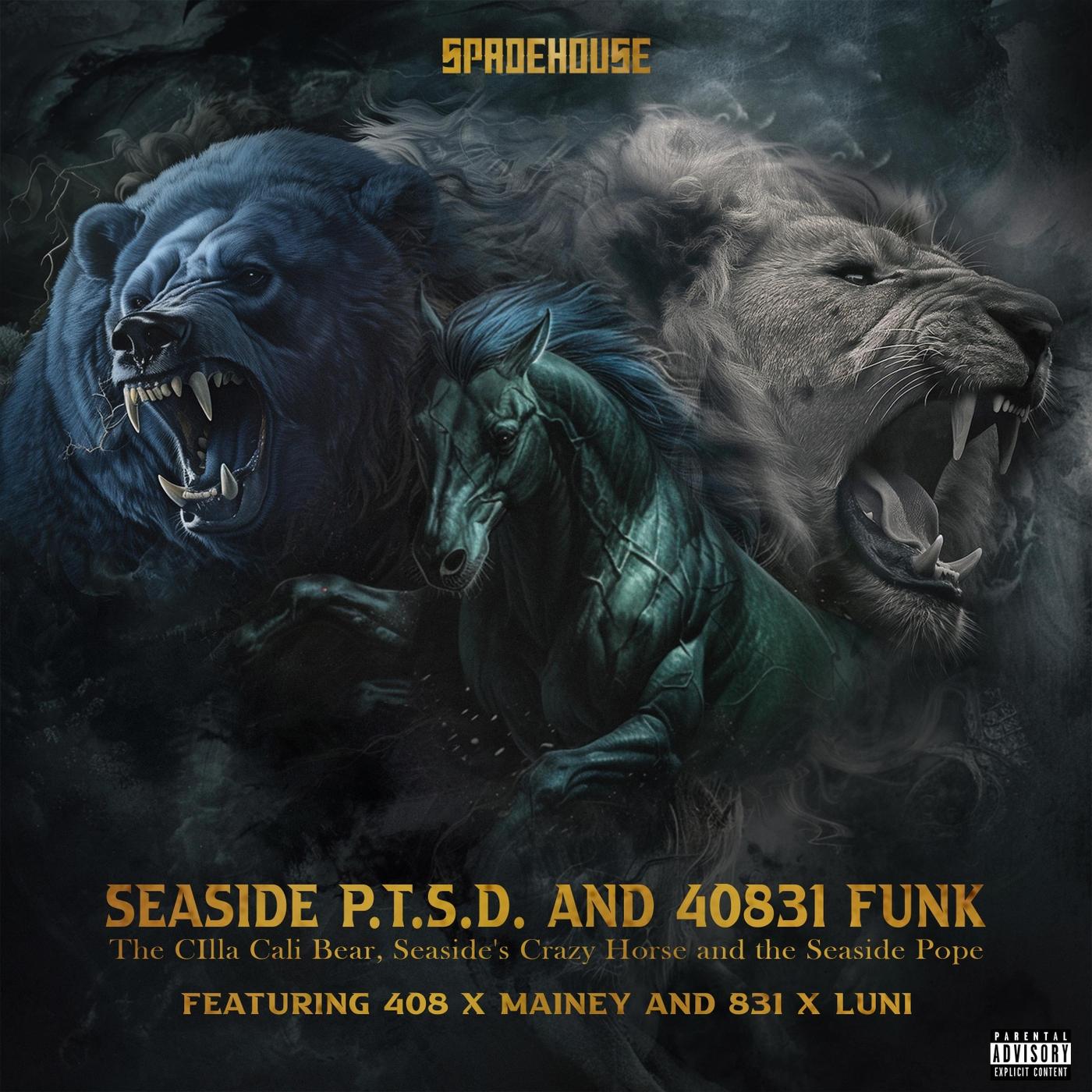 Never Needed to Have (feat. 408 X MAINEY & 831 X LUNI) - The Seaside ...
