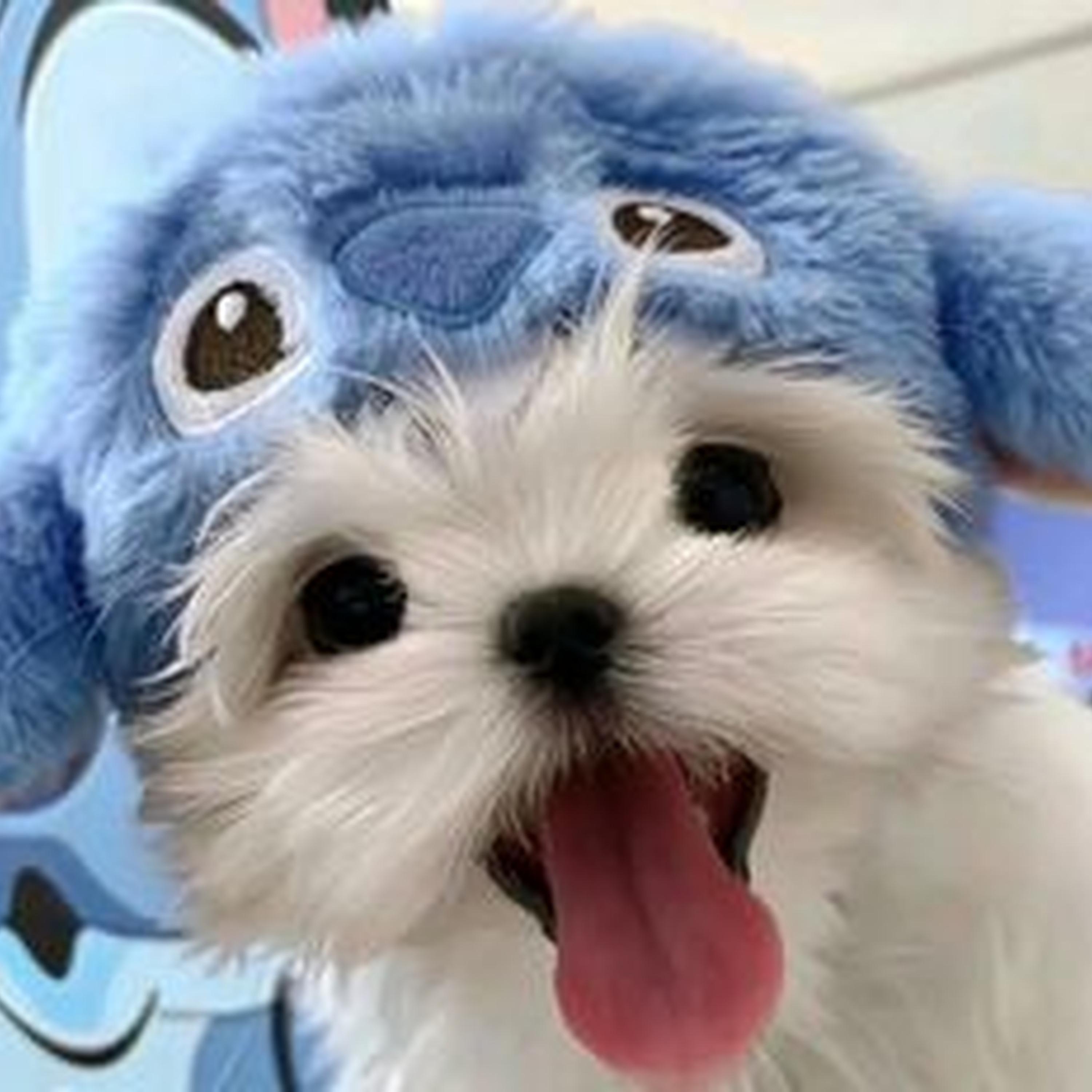 Hesitations Shiloh Dynasty - Sped Up - Vysara - 单曲 - 网易云音乐