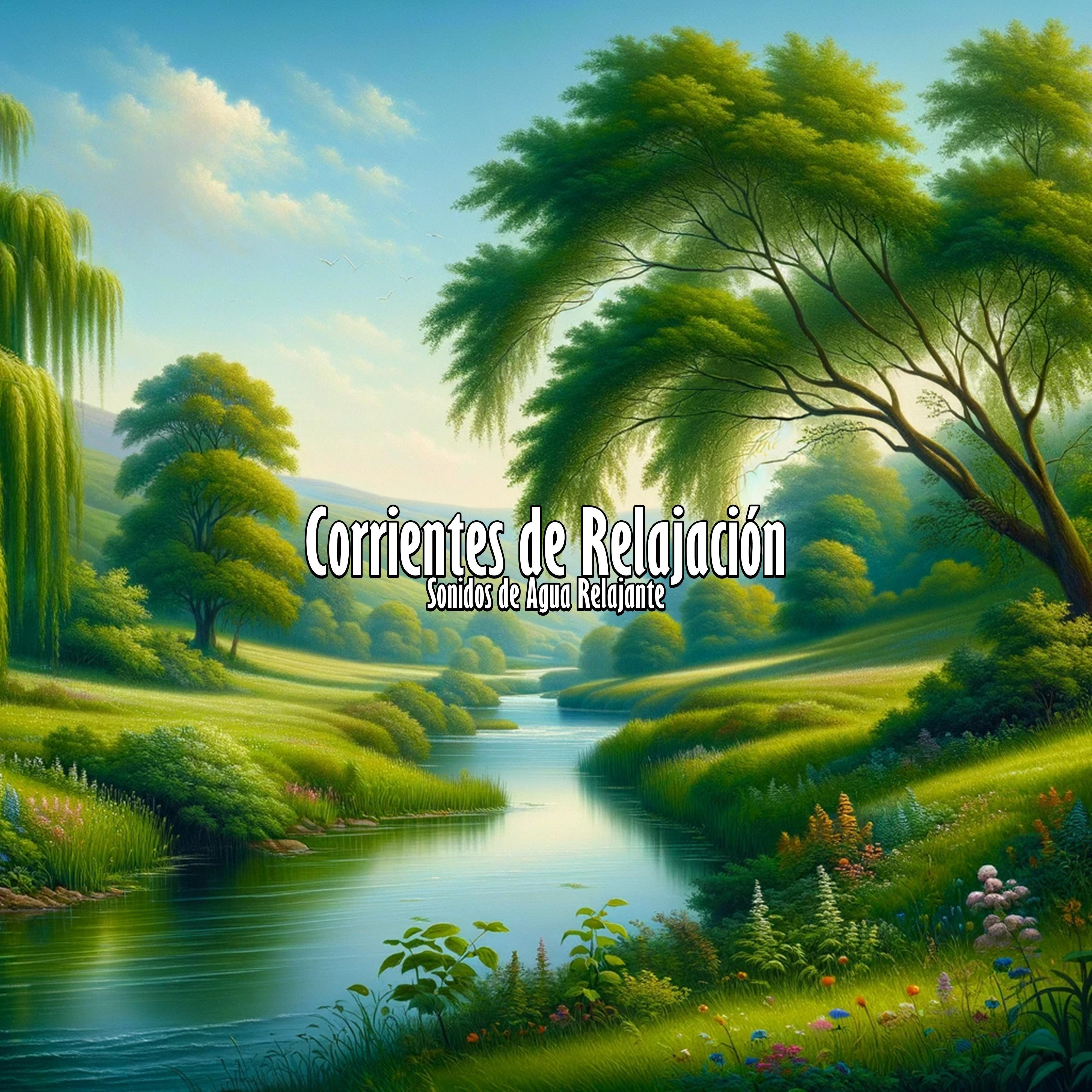 Ecos del Río Pacífico - Sonidos De Agua Relajantes - 单曲 - 网易云音乐