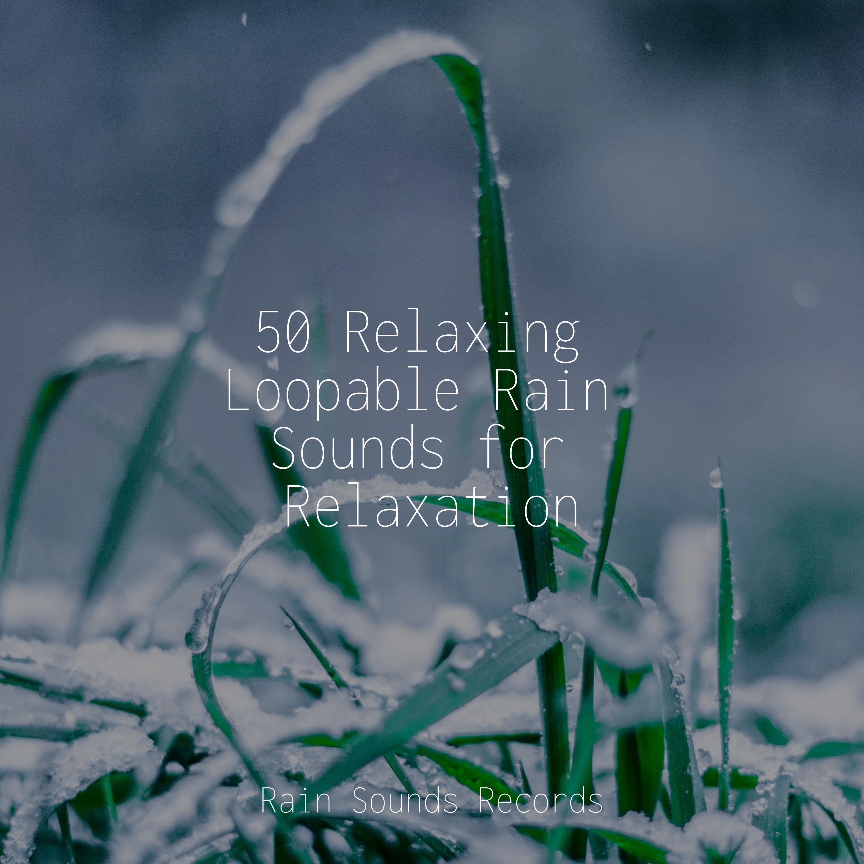 Feathers by the Brook - Lightning/Thunder and Rain Storm/Lucid Dreaming ...