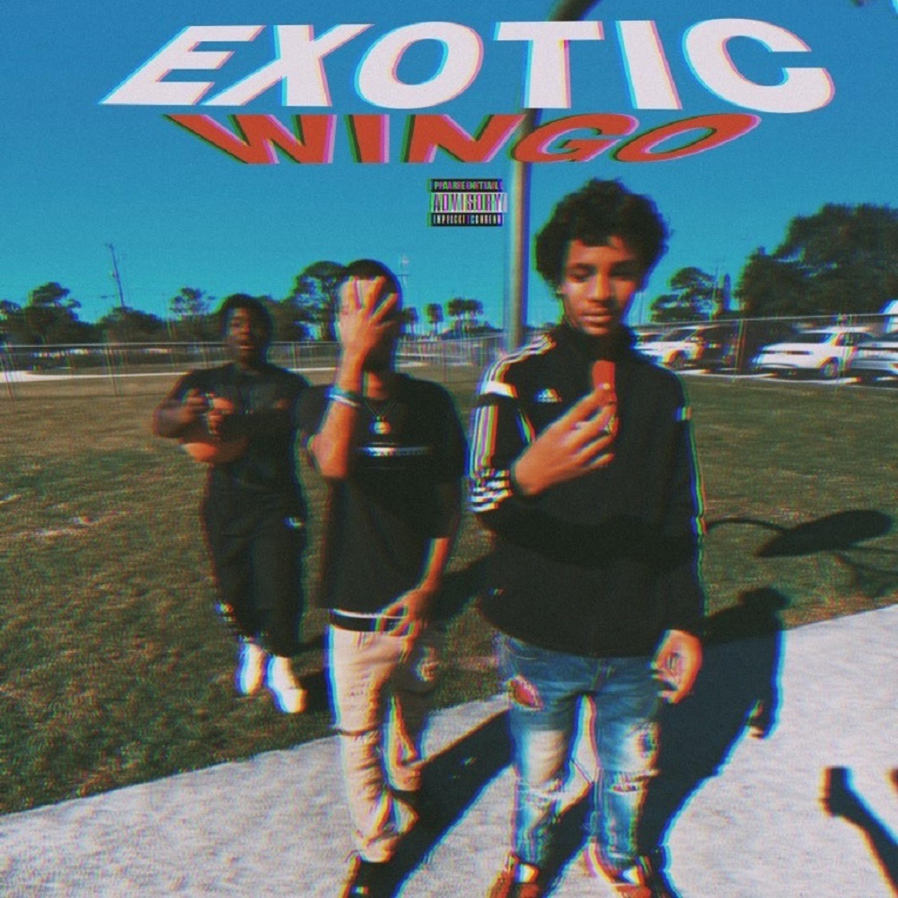 Sonic Freestyle, Pt. 2 - ExoticWingo - 专辑 - 网易云音乐