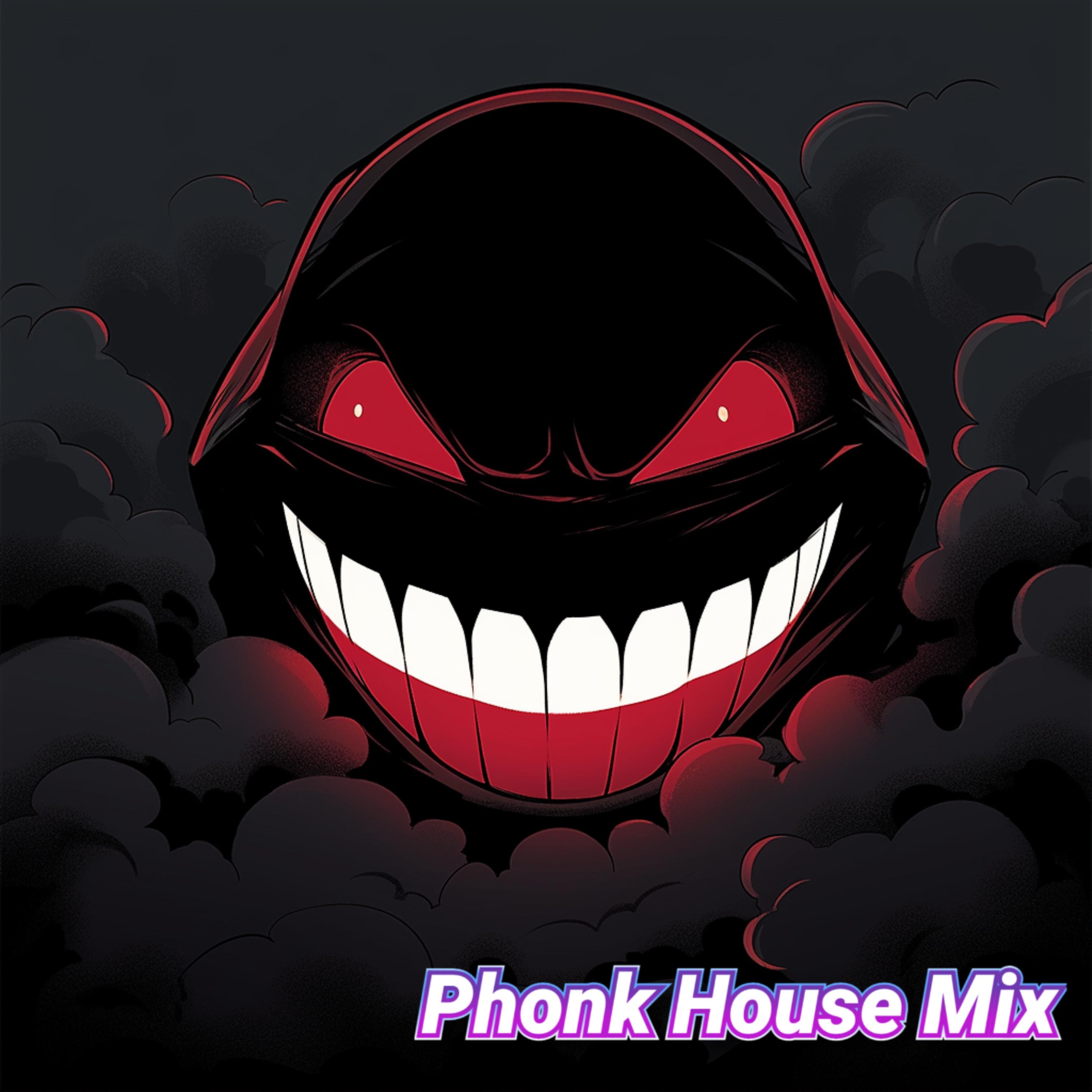 Aggressive Brazilian Phonk 2023 Top Hits - Phonk House Mix - 专辑 - 网易云音乐