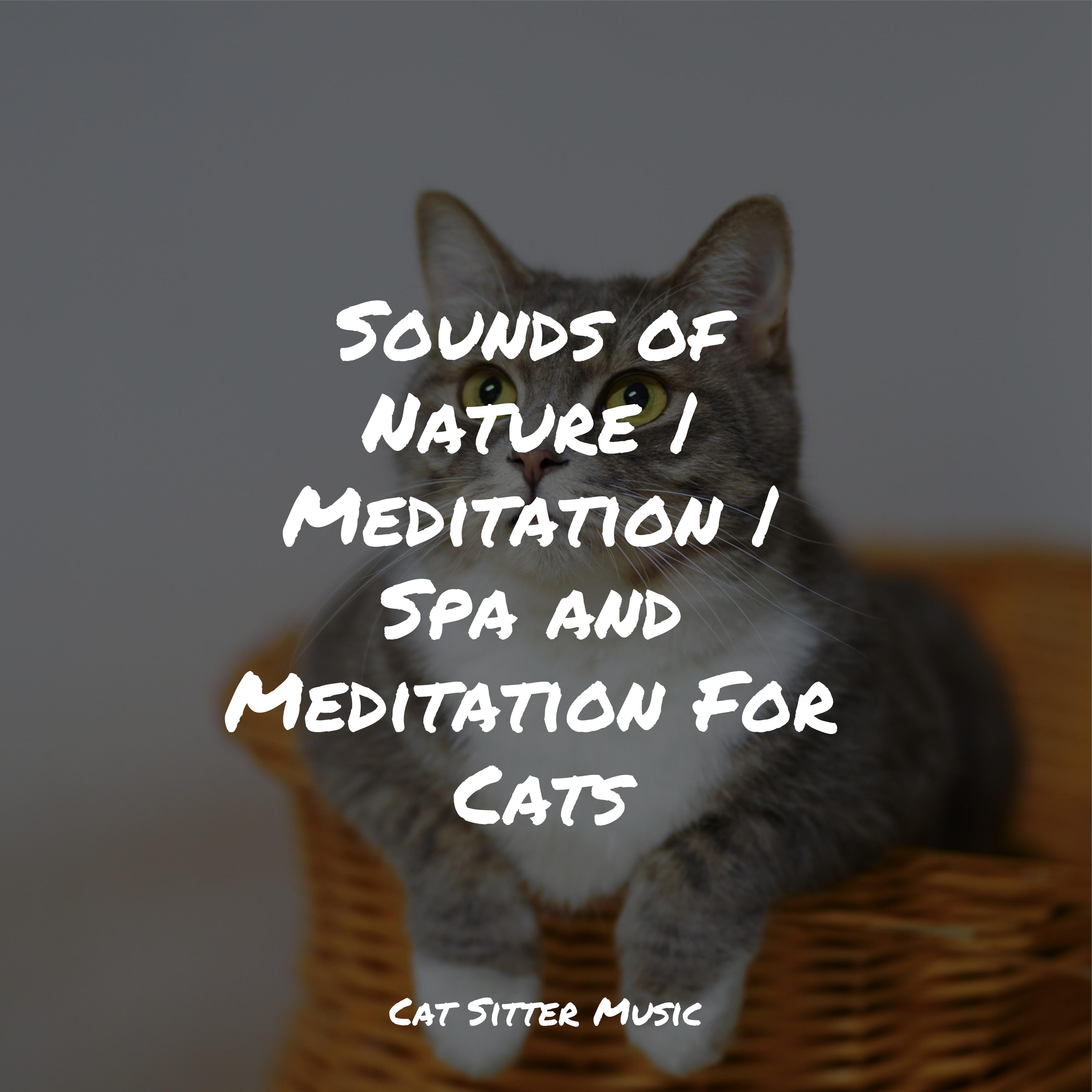 Low Frequency Waves - Music for Pets Library/Music For Cats Peace/Music ...