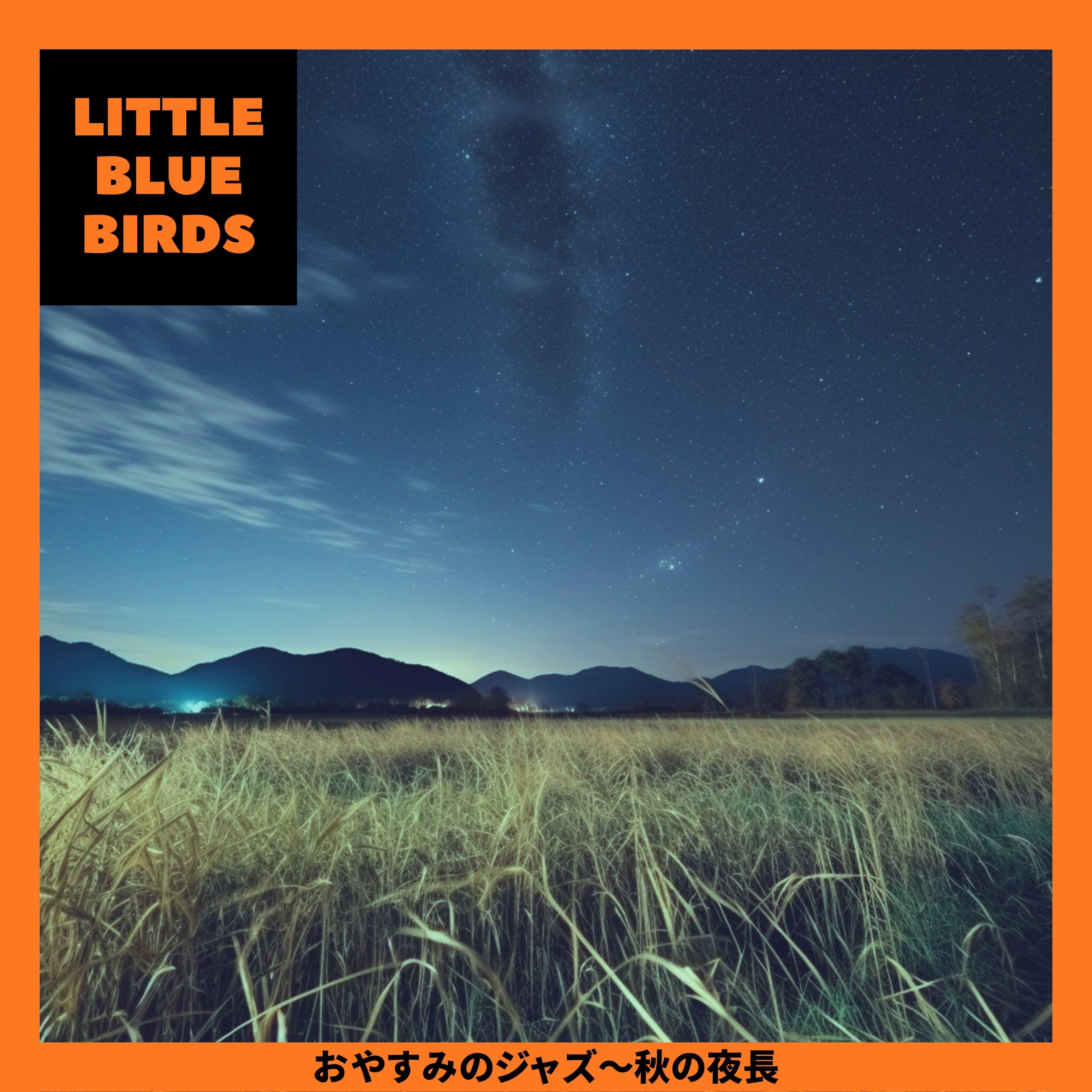 Gentle Breeze Sleepy Moonlight - Little Blue Birds - 单曲 - 网易云音乐