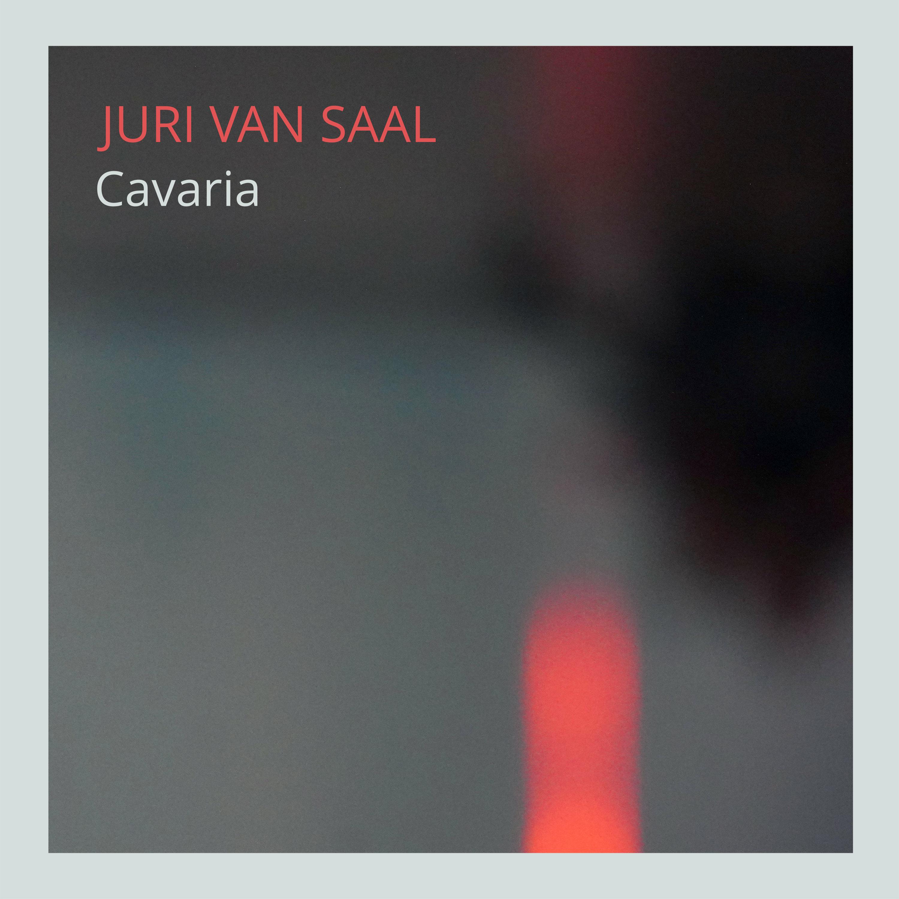 Cavaria - Juri van Saal - 单曲 - 网易云音乐