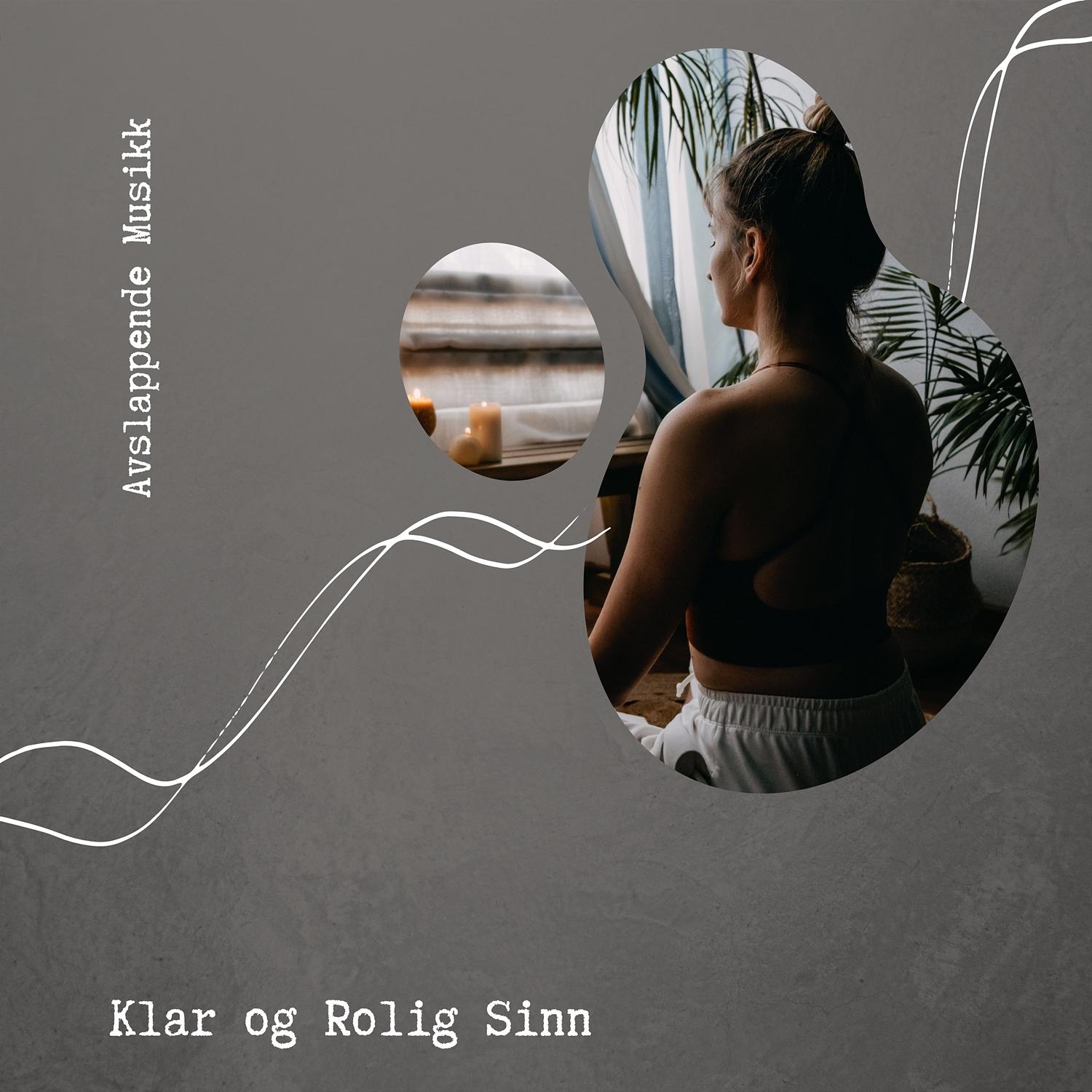 Den Milde Berøringen Av Ro - Avslappende musikk - 单曲 - 网易云音乐