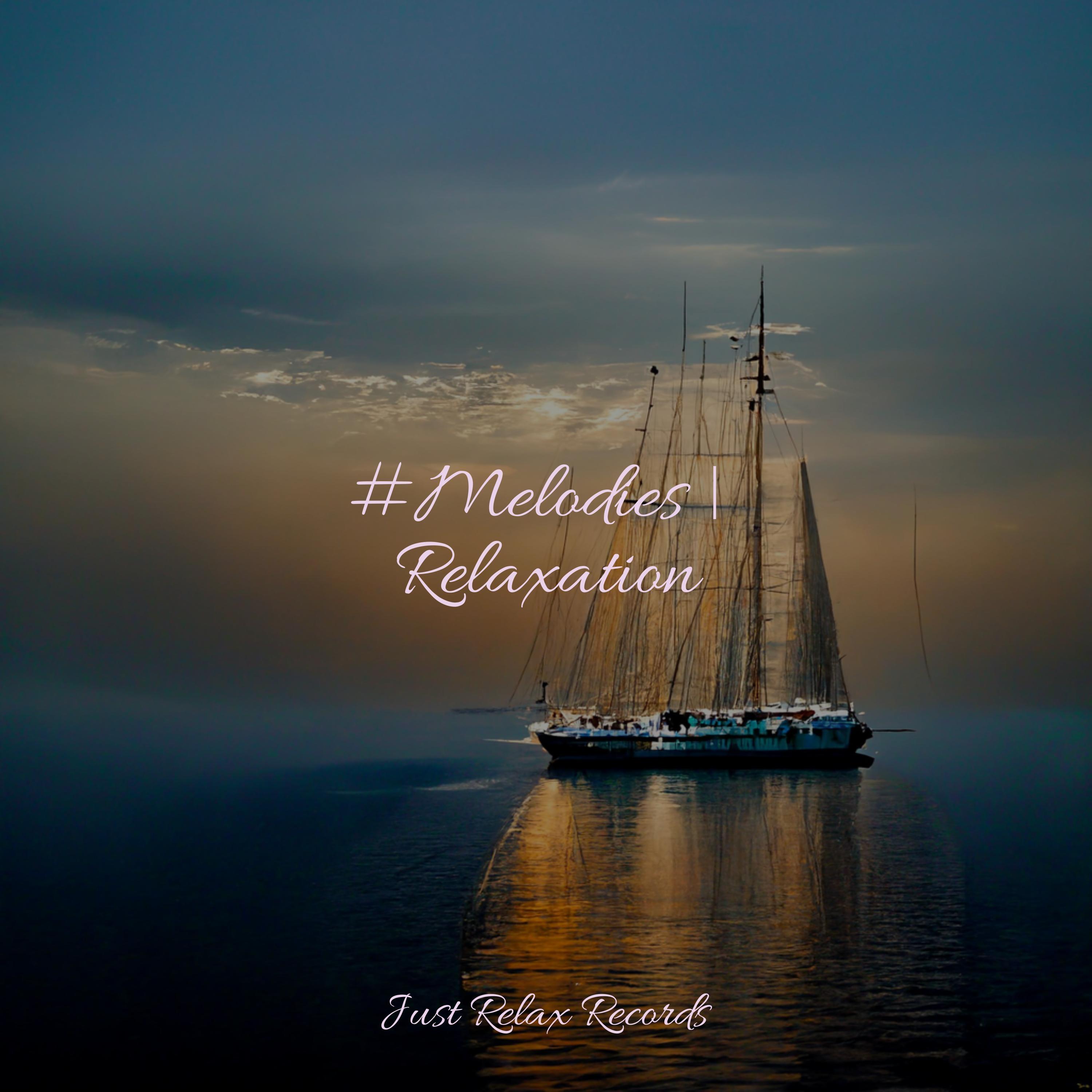 #Melodies | Relaxation - Music For Absolute Sleep - 专辑 - 网易云音乐
