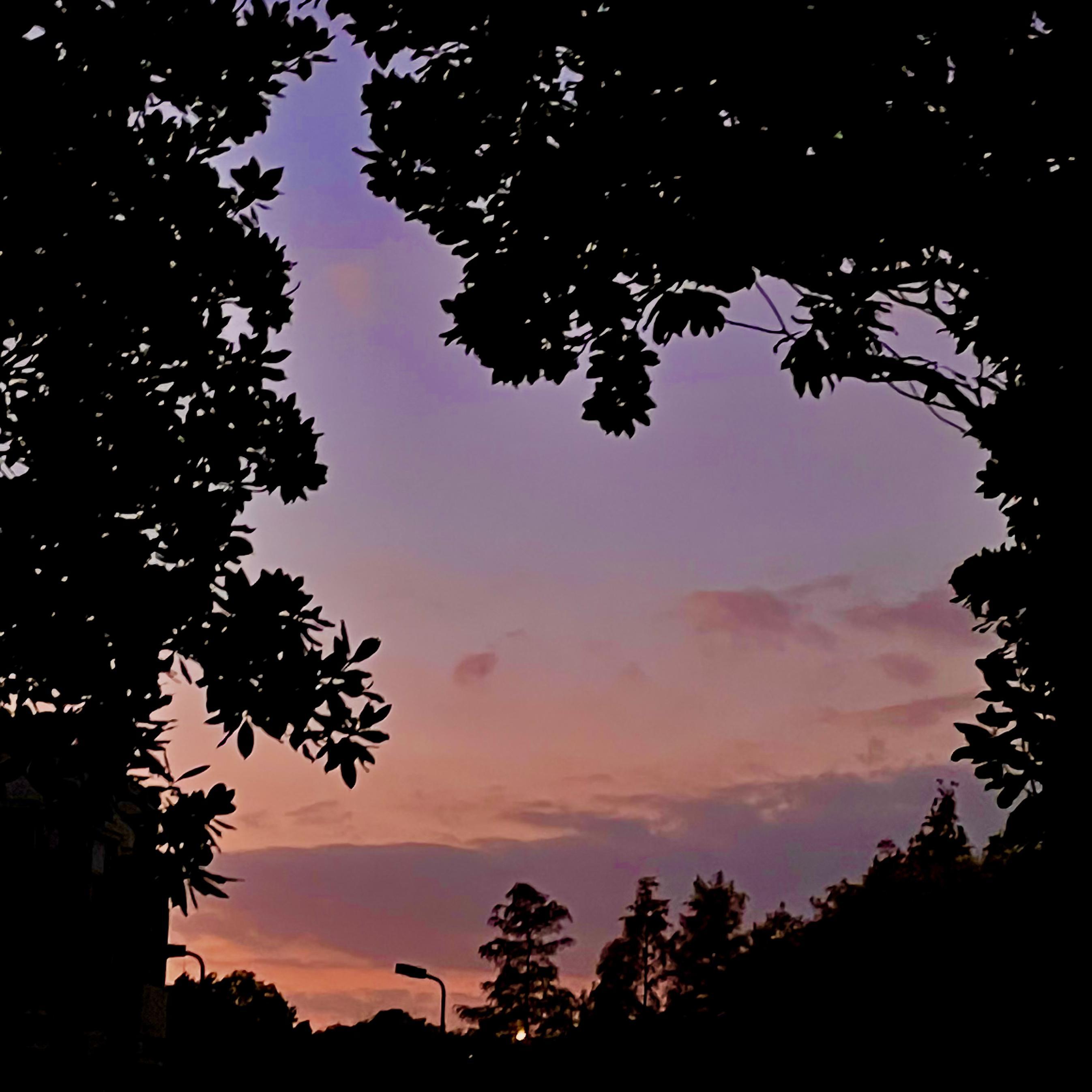 Payphone - Angela Dai - 单曲 - 网易云音乐