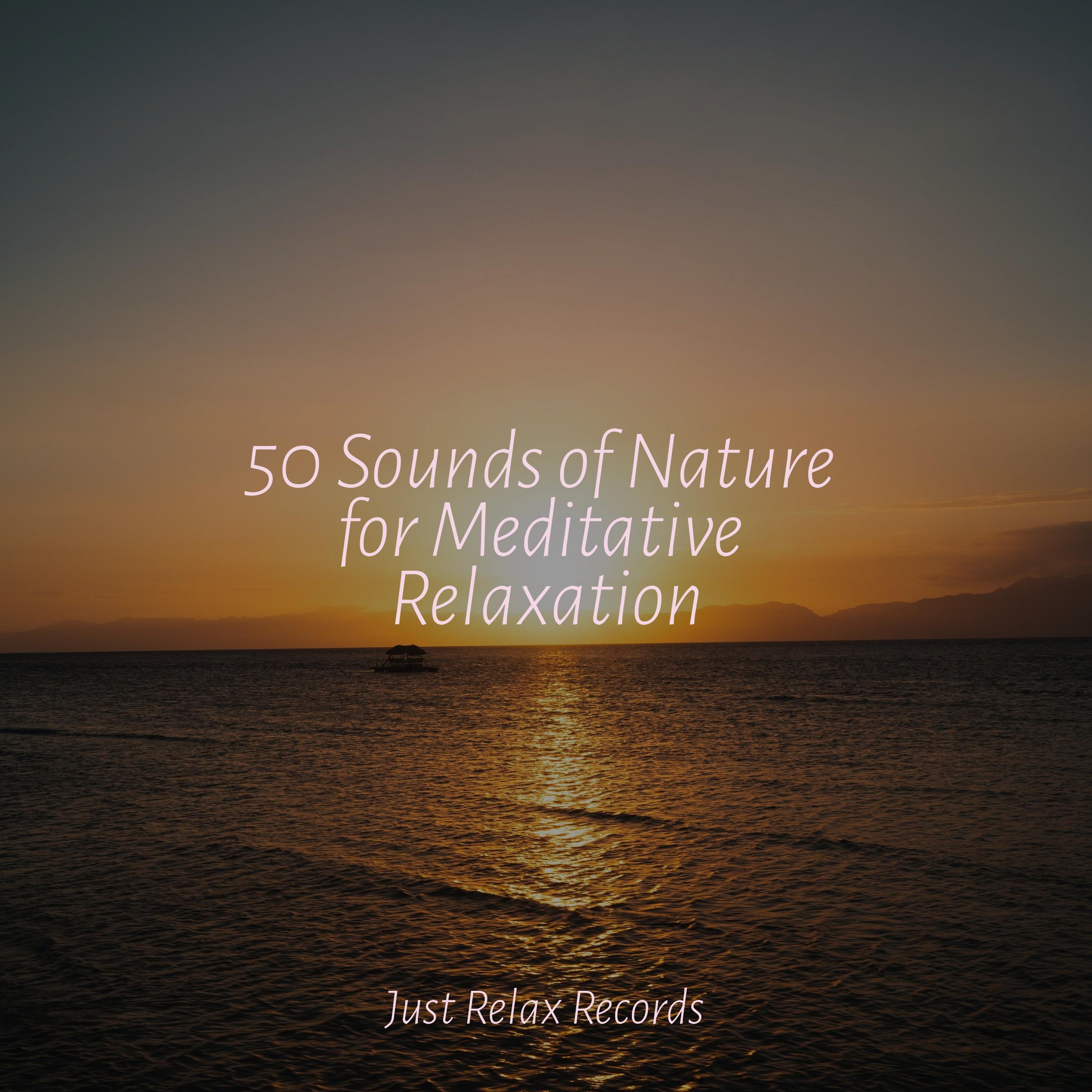 Dancing Flames' Melancholy - Natural Sounds/Calming Sounds/Sonido Del ...