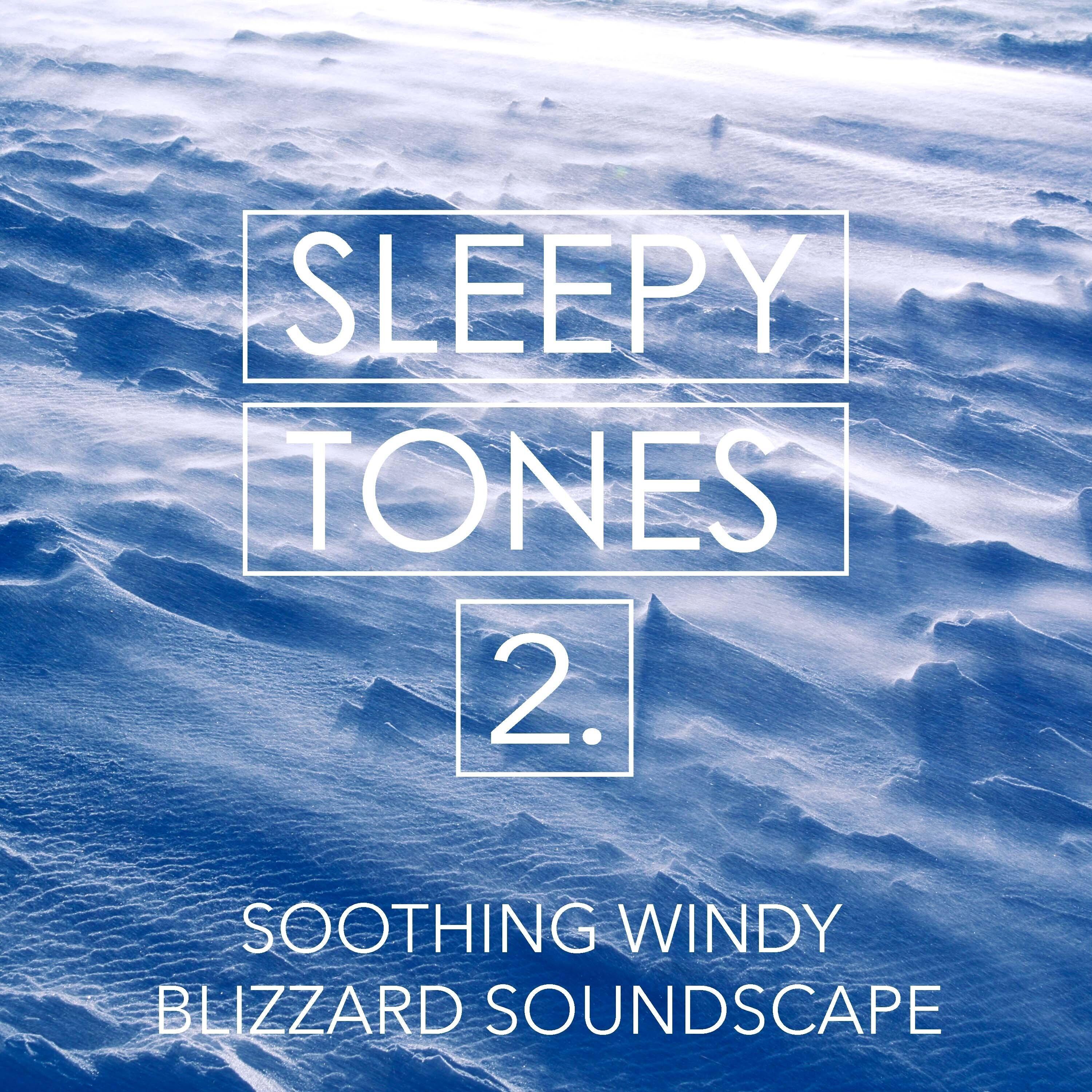 Soothing Windy Blizzard Soundscape, Pt. 17 - Jason Rivers - 单曲 - 网易云音乐