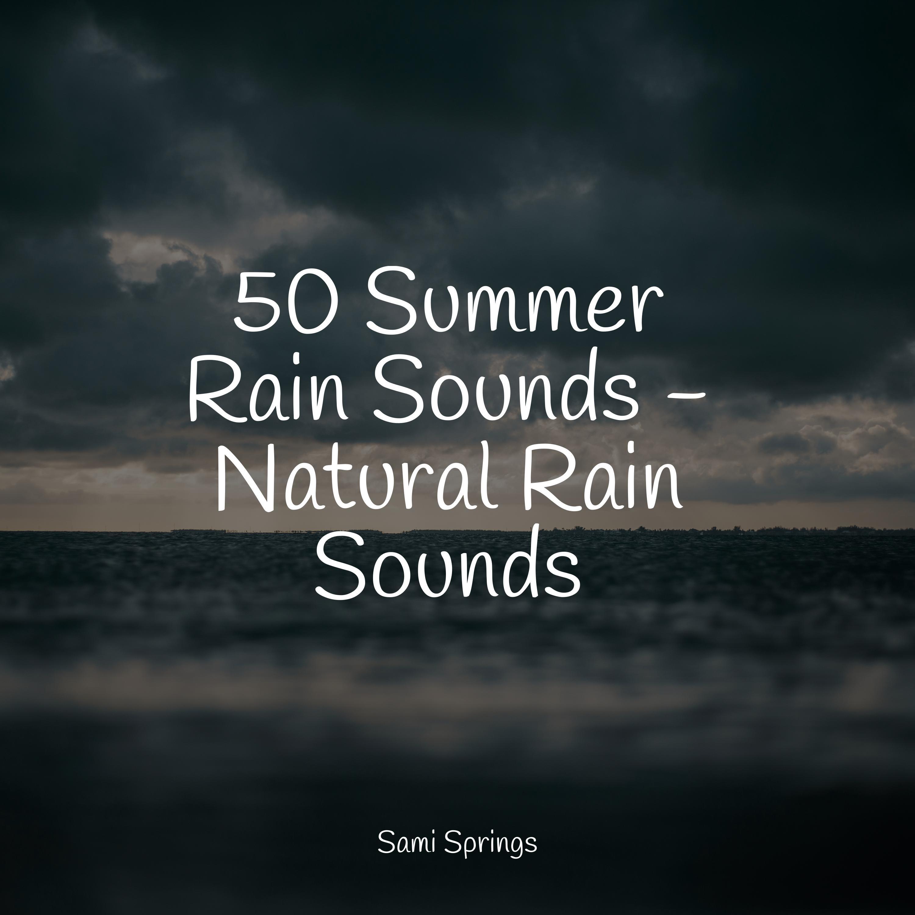 50 Summer Rain Sounds - Natural Rain Sounds - Preschool Kids - 专辑 - 网易云音乐