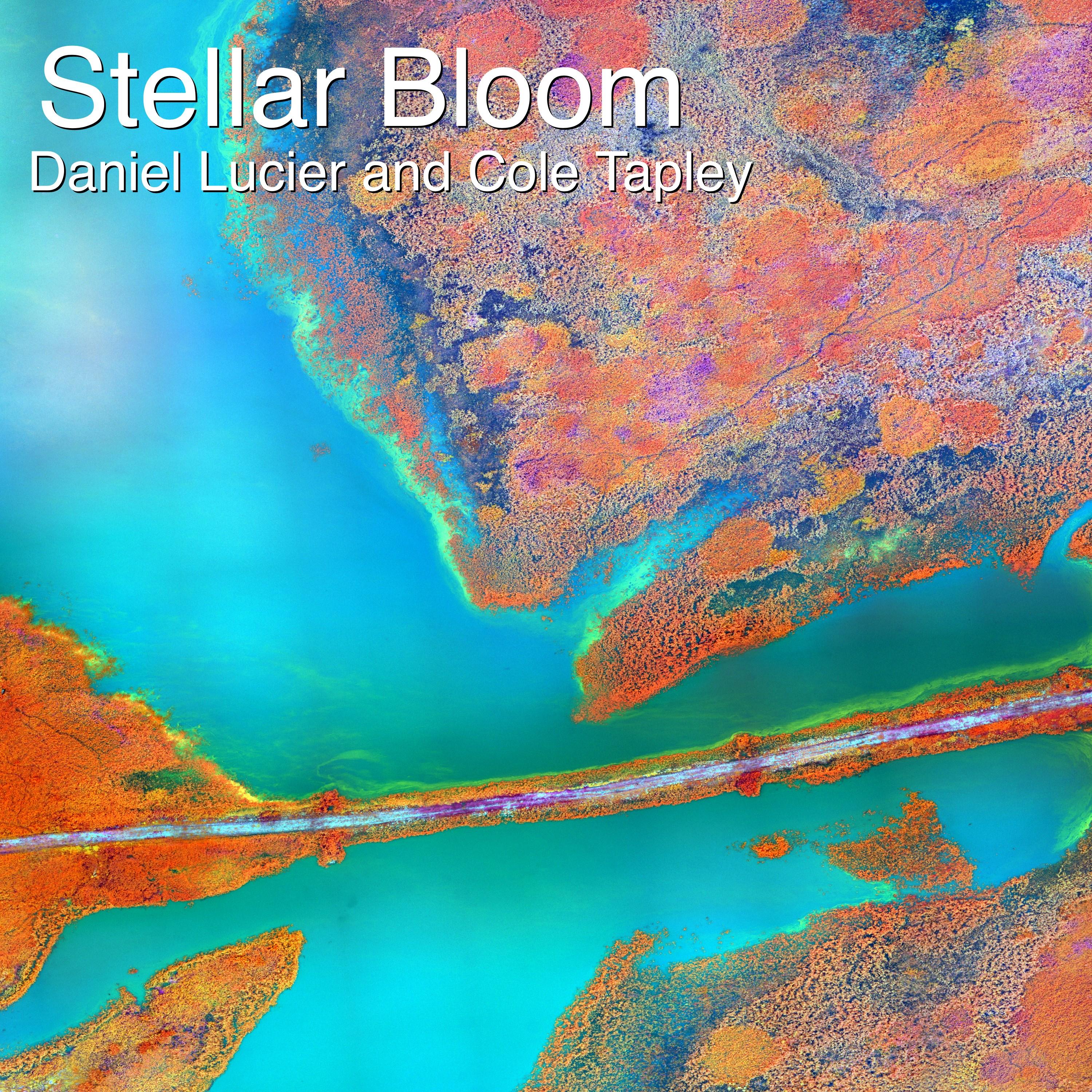 Made Simple - Daniel Lucier/Cole Tapley - 单曲 - 网易云音乐