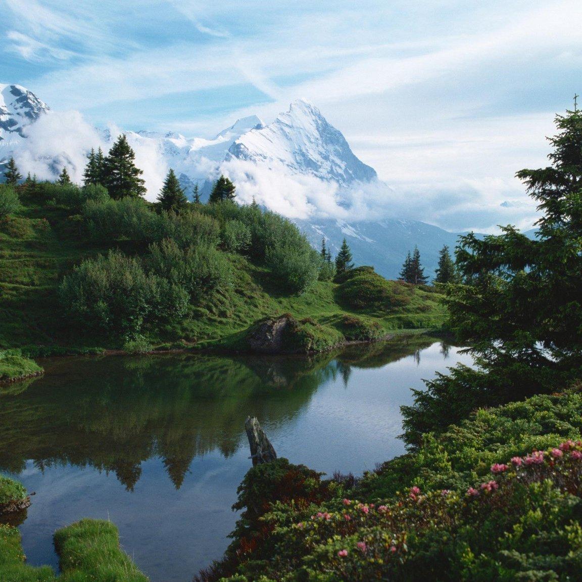 Bandari(班得瑞) - 歌单 - 网易云音乐