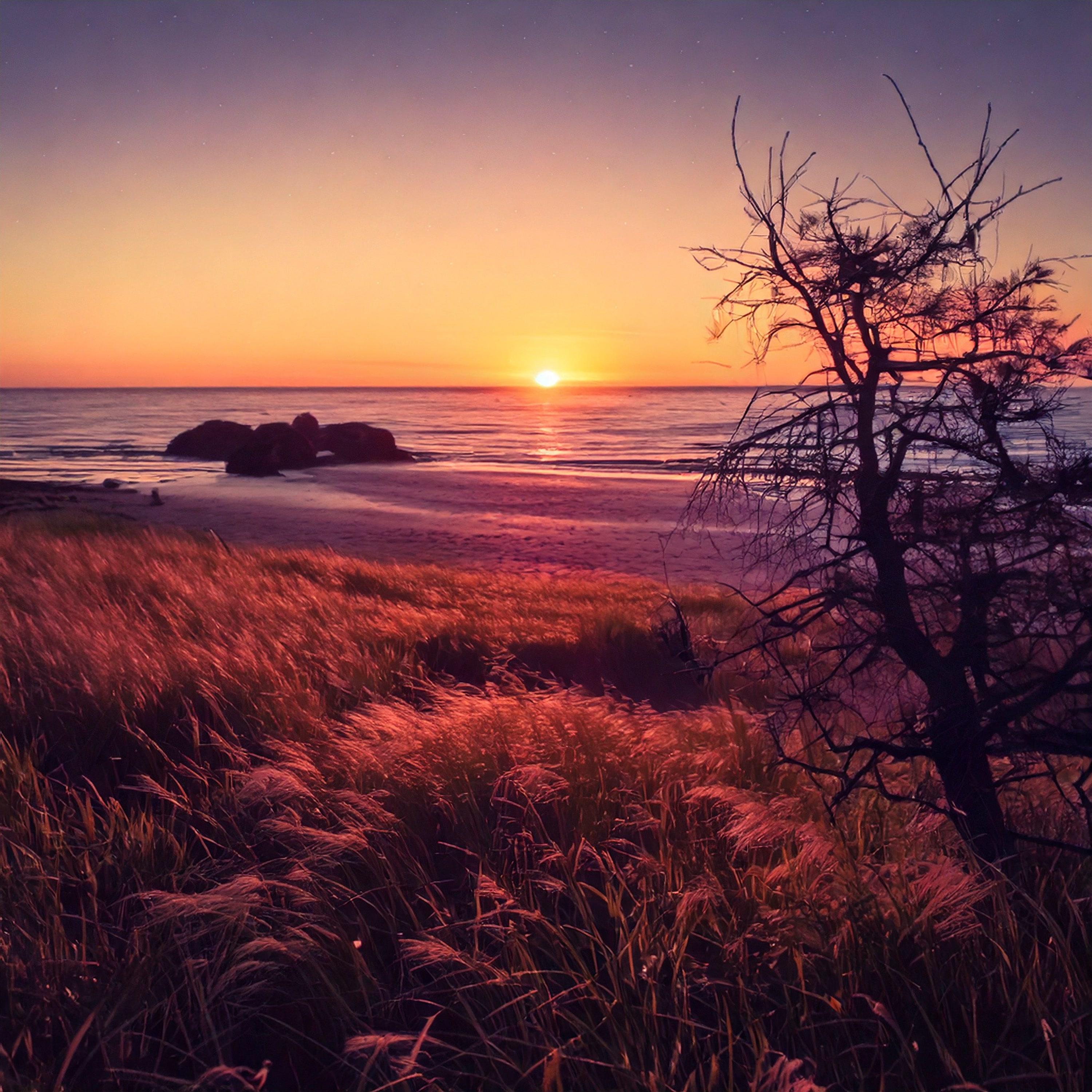 Nighttime Glow Calm Cuddle - Relaxing Music Machine/Brown Noise Reverie ...