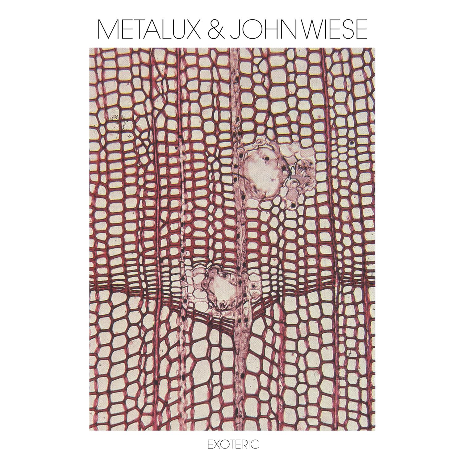 Exoteric - Metalux - 专辑 - 网易云音乐