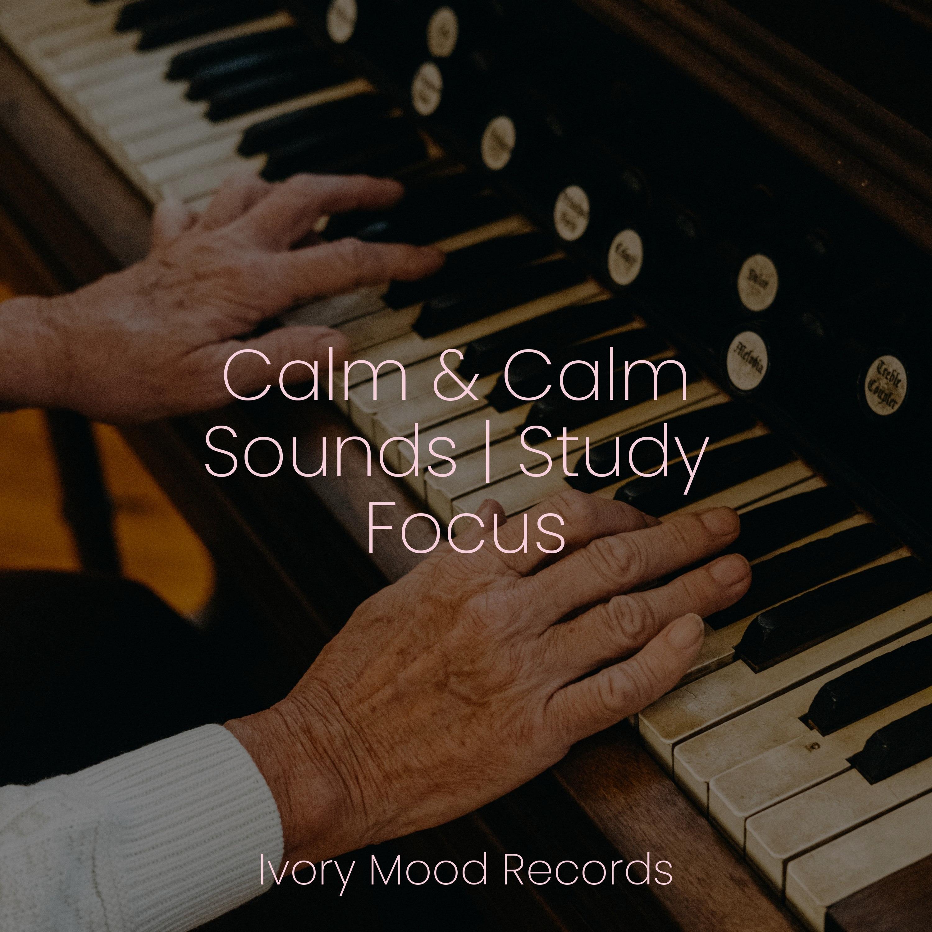 Calm & Calm Sounds | Study Focus - Classical Music Radio - 专辑 - 网易云音乐