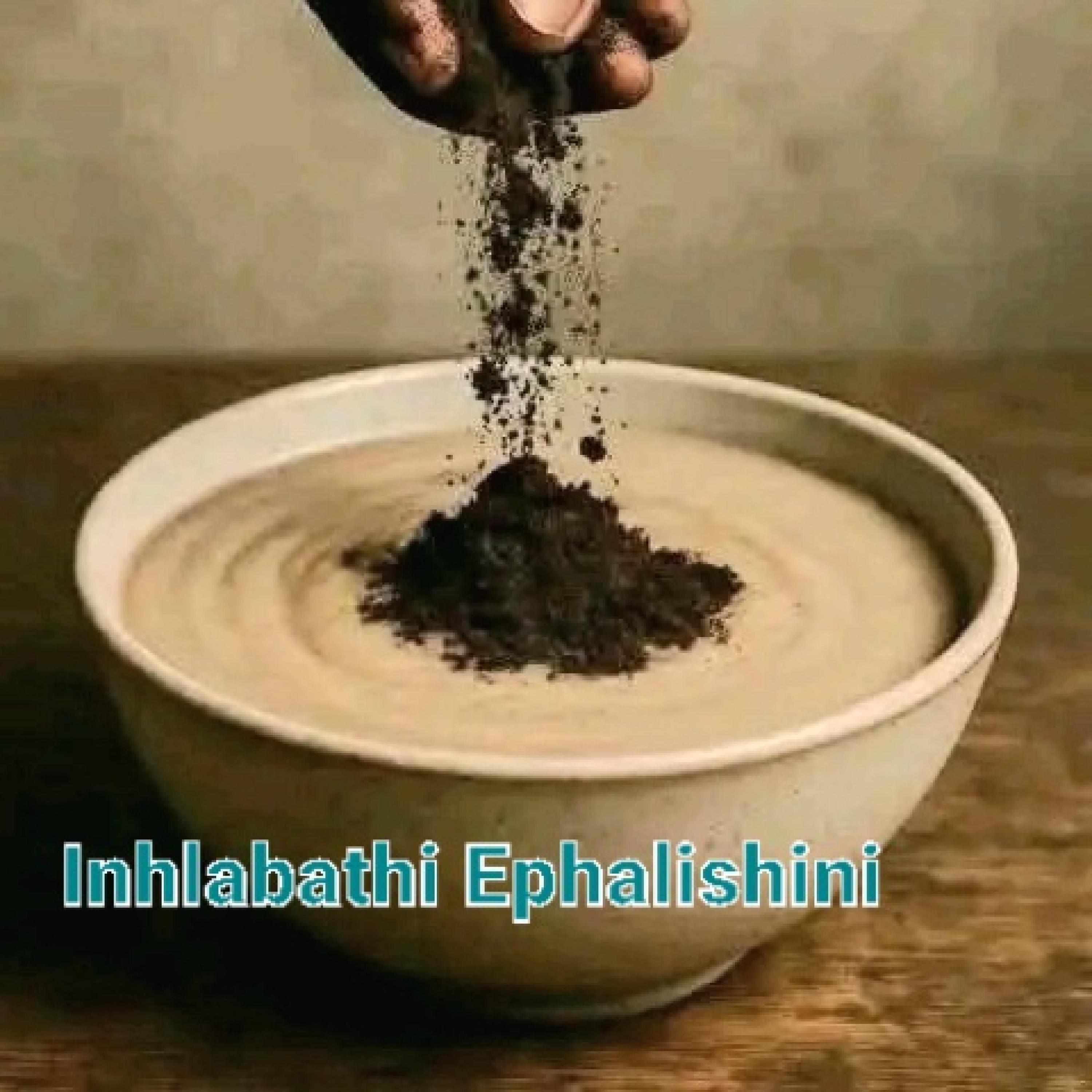 Inhlabathi Ephalishini - Nozondela - 单曲 - 网易云音乐
