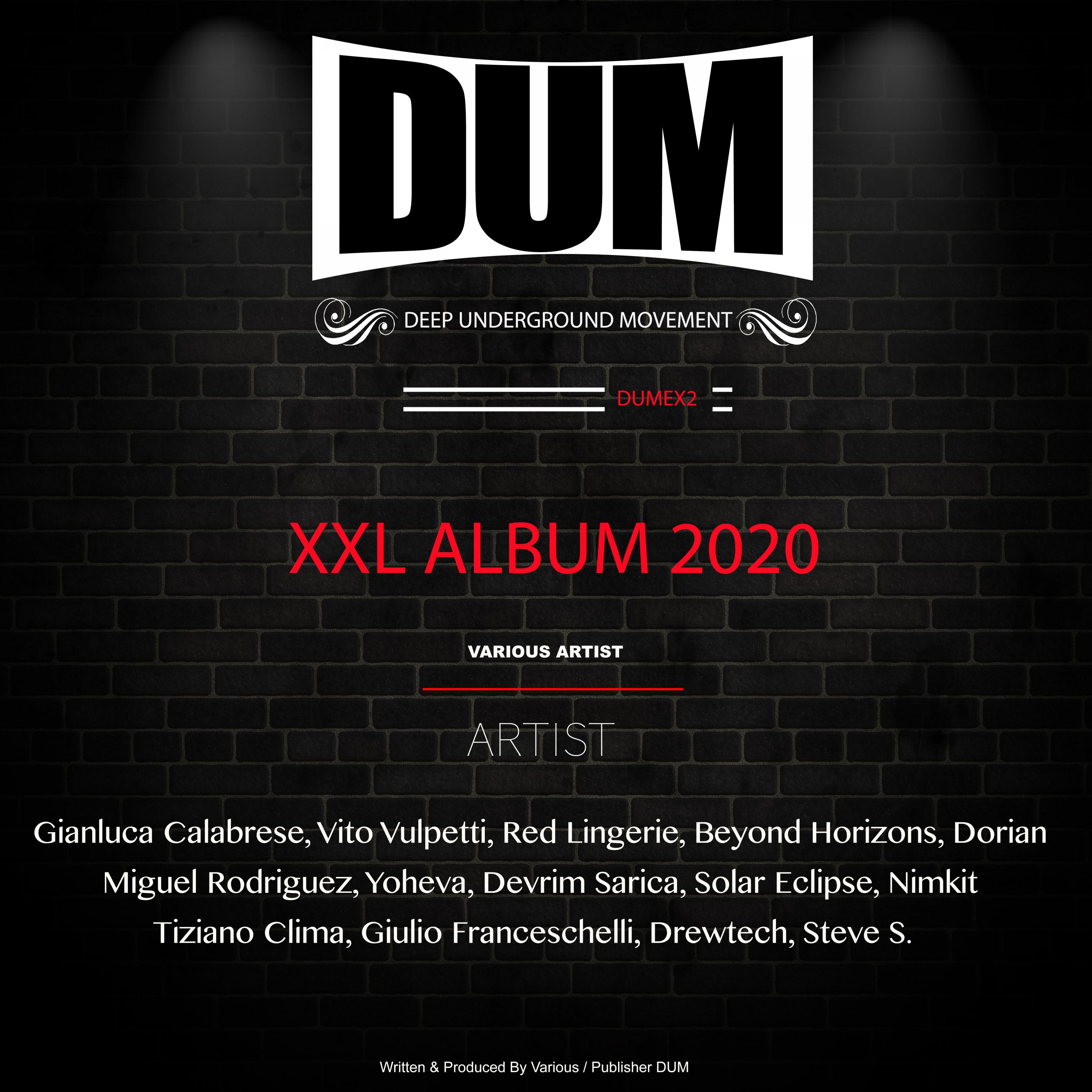 XXL ALBUM 2020 - Various Artists - 专辑 - 网易云音乐