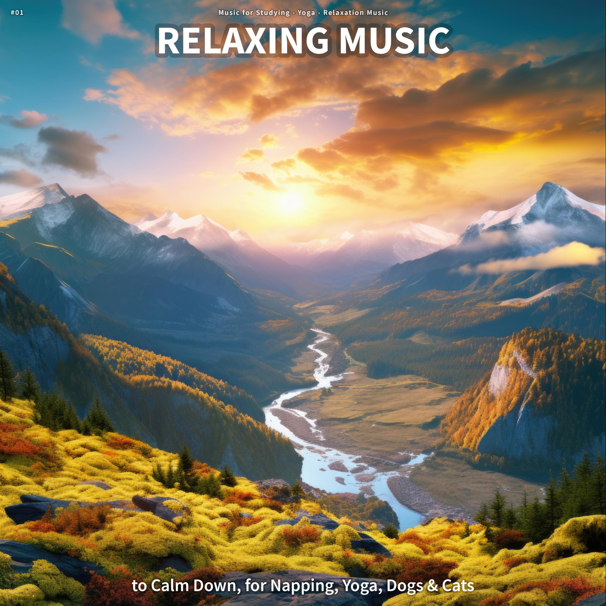Relaxation Music for Mindfulness - Music for Studying/Yoga/Relaxation ...