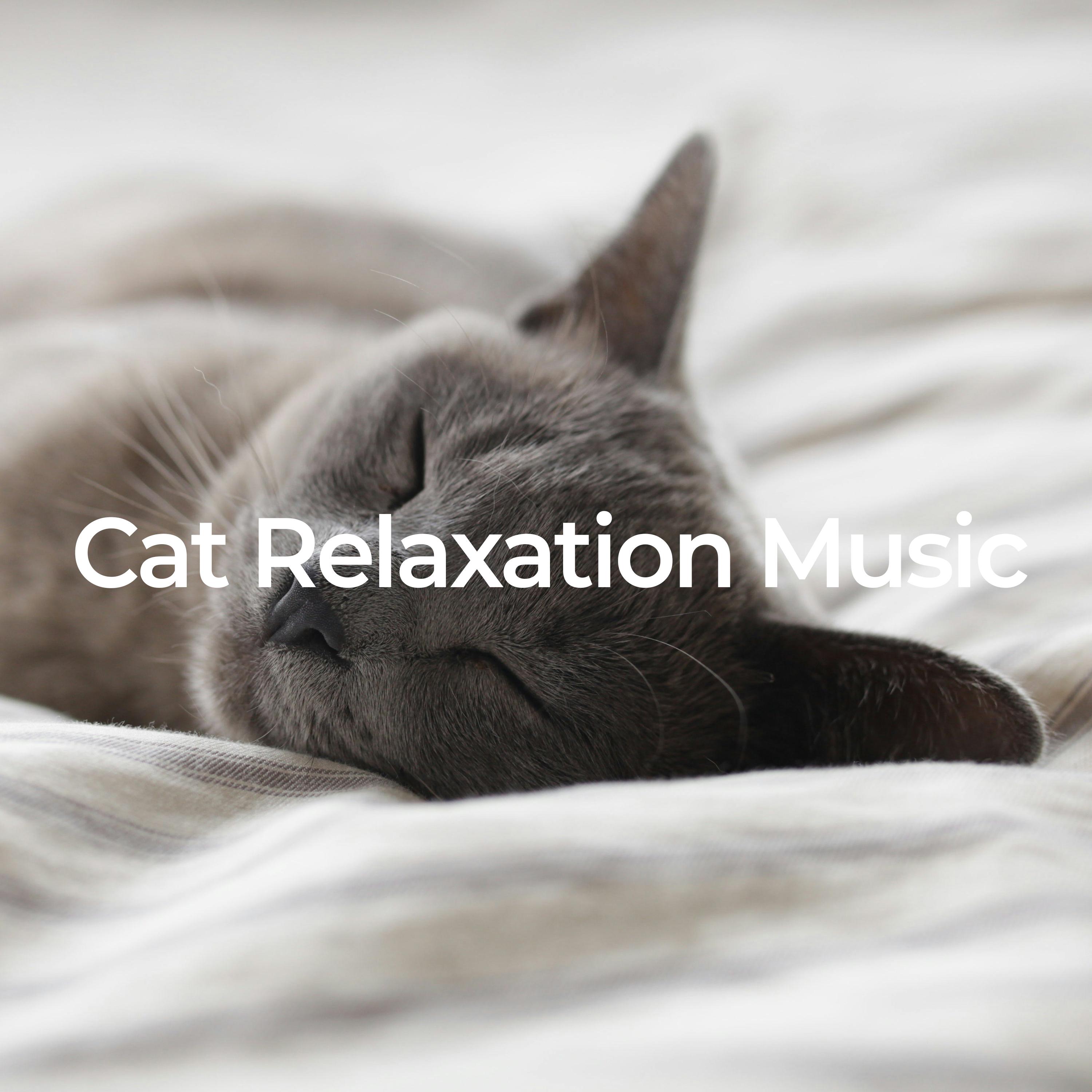Purring Peace (No Fade, Loopable) - Pet Relax Academy/Calming Music For ...