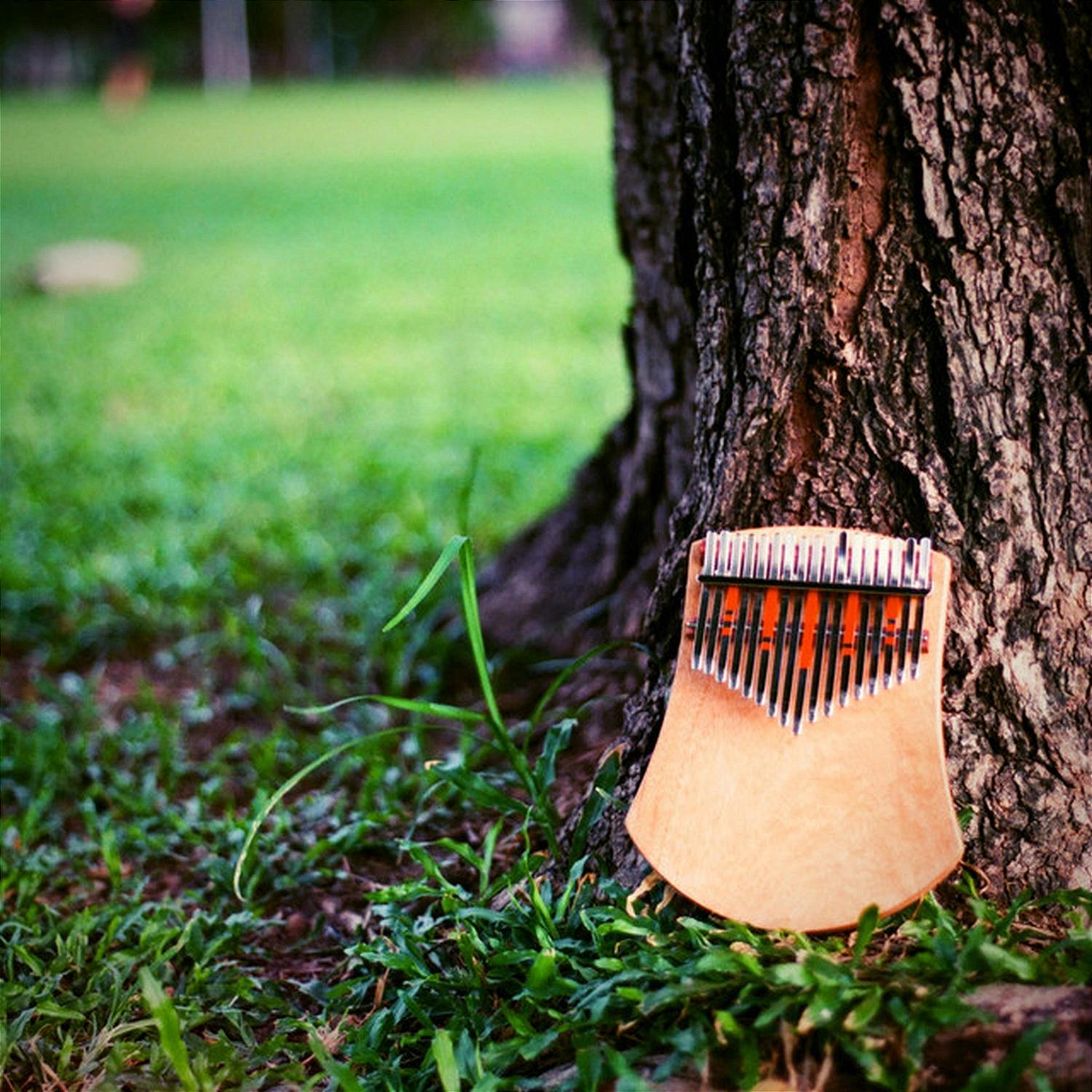 Kalimba for Focus with Nature Sounds - Focus & Relax - 专辑 - 网易云音乐