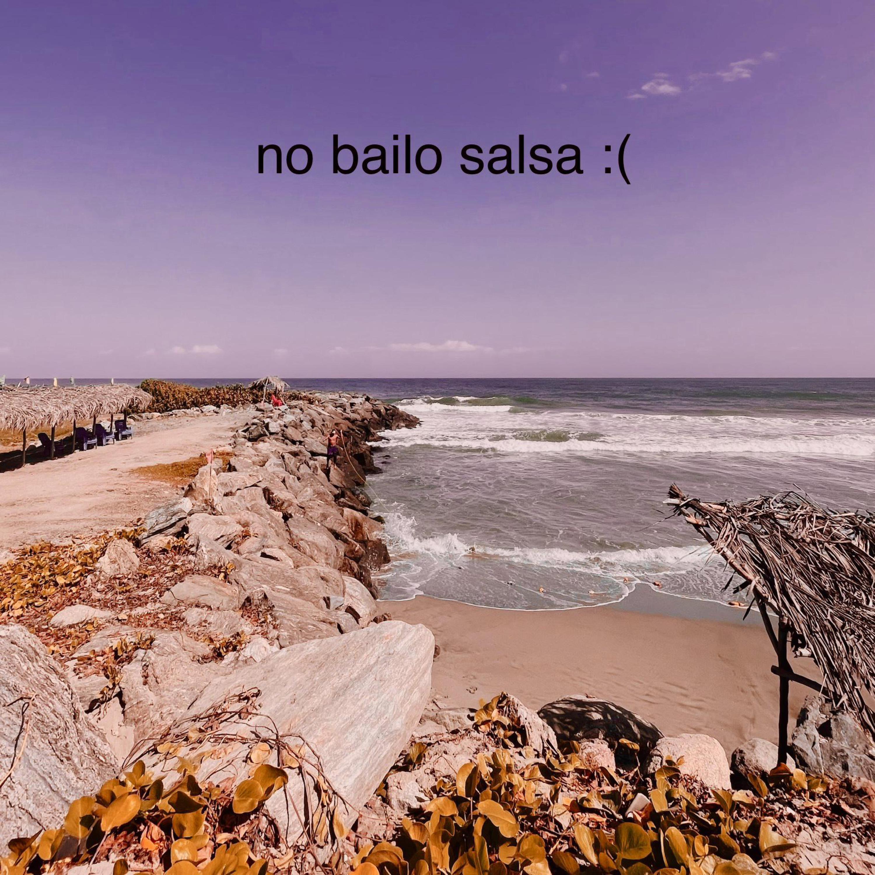 no bailo salsa :( - sleepyhead.wav - 专辑 - 网易云音乐