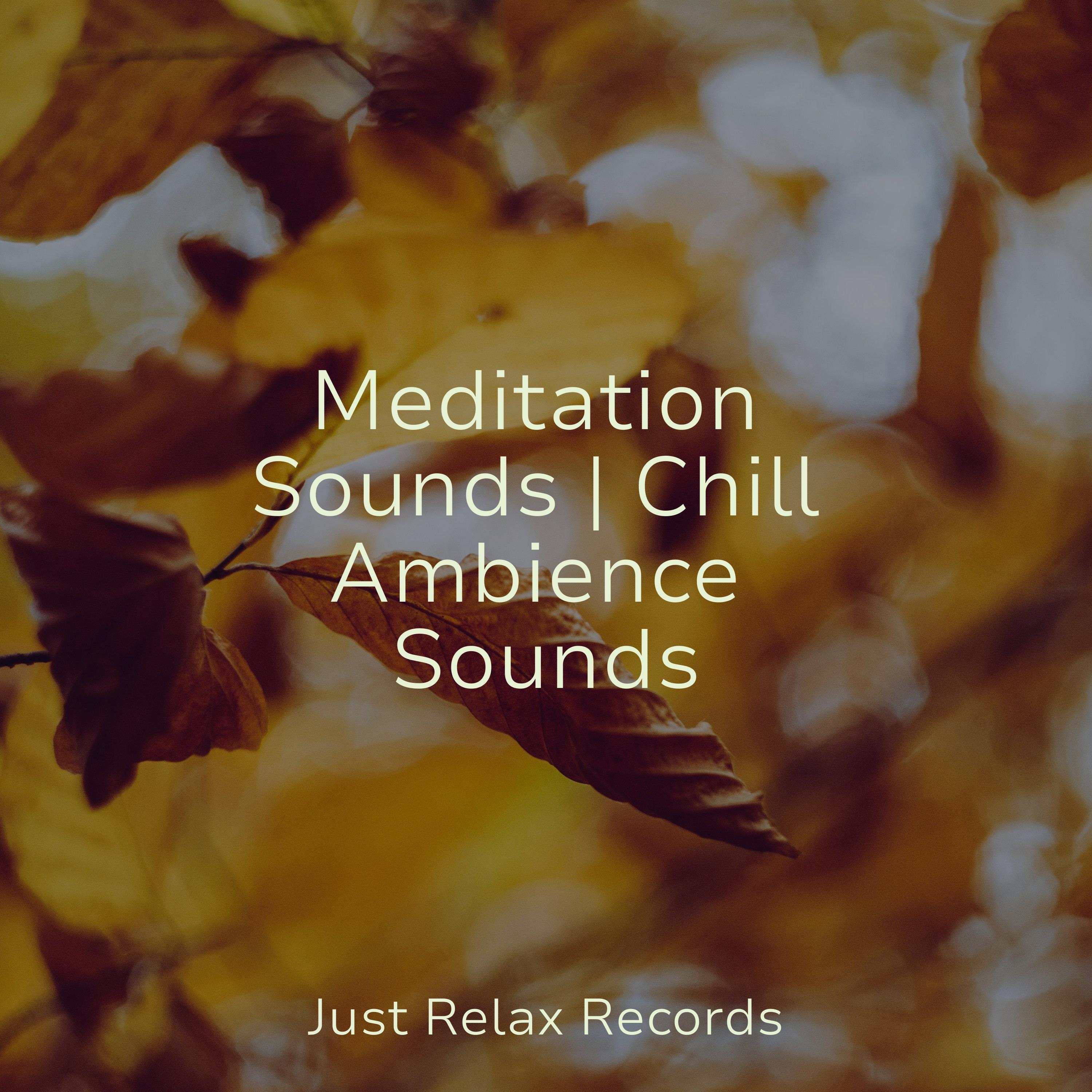 Misty Memories Beneath Moonlight - Sleepy Night Music/Reiki Tribe ...