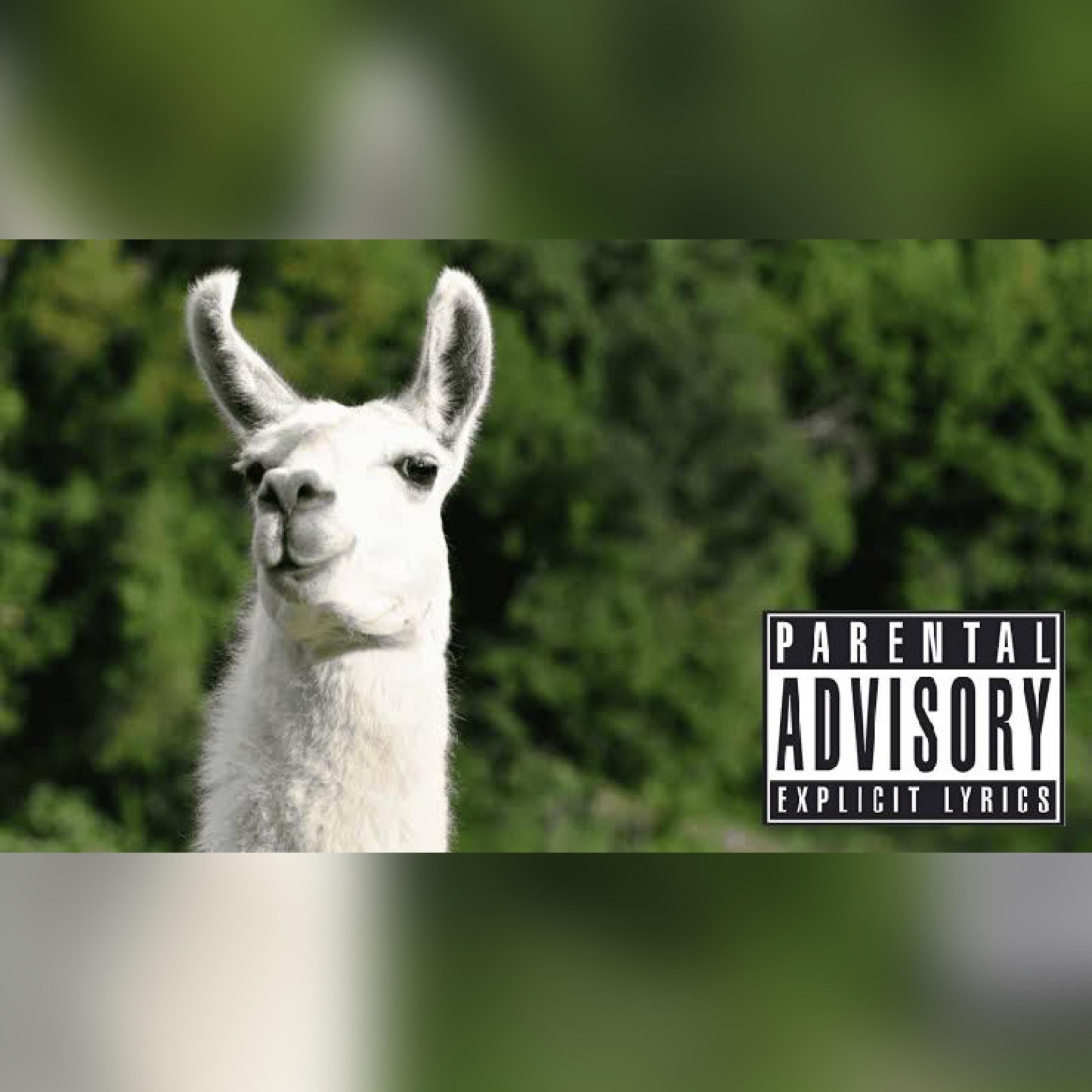 Drama Llama (feat. Oh My Days) - HWT Hidden.White.Trash - 专辑 - 网易云音乐