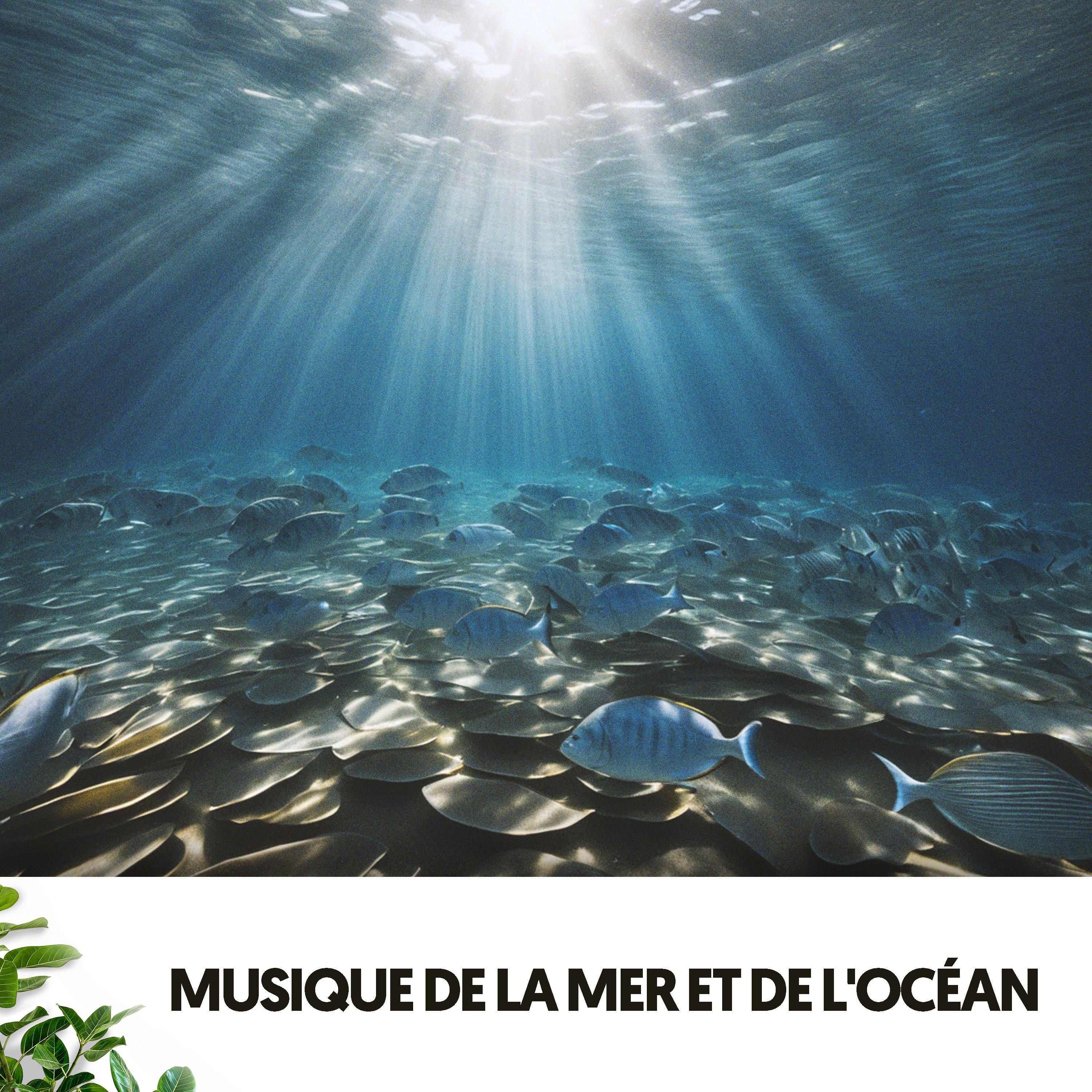 Chanson de la brise - Ocean Sounds Plus/Music For Your Dog/la mer de ...