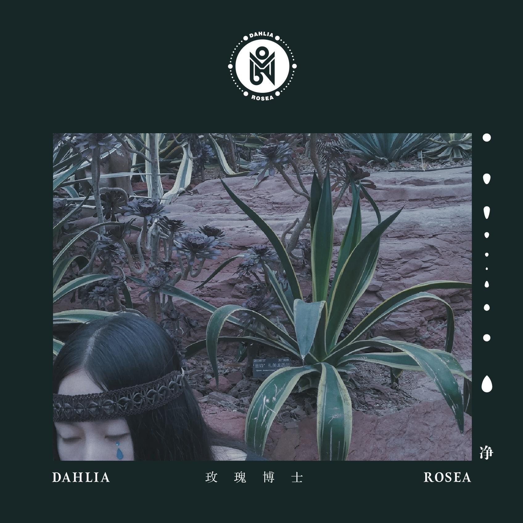 Dr.Rosea（玫瑰博士） - Dahlia Rosea(玫瑰博士) - 单曲 - 网易云音乐