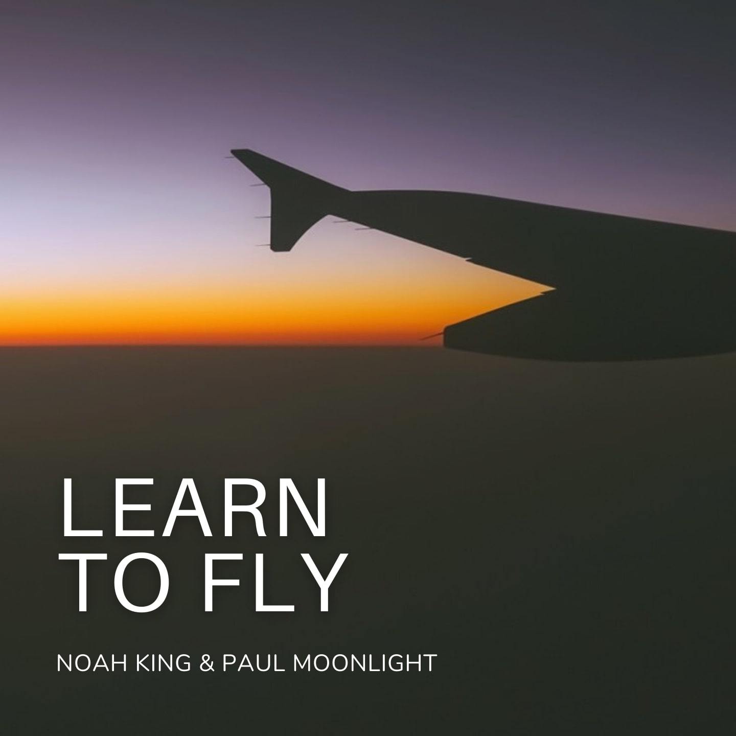 Learn to Fly - Noah King - 专辑 - 网易云音乐