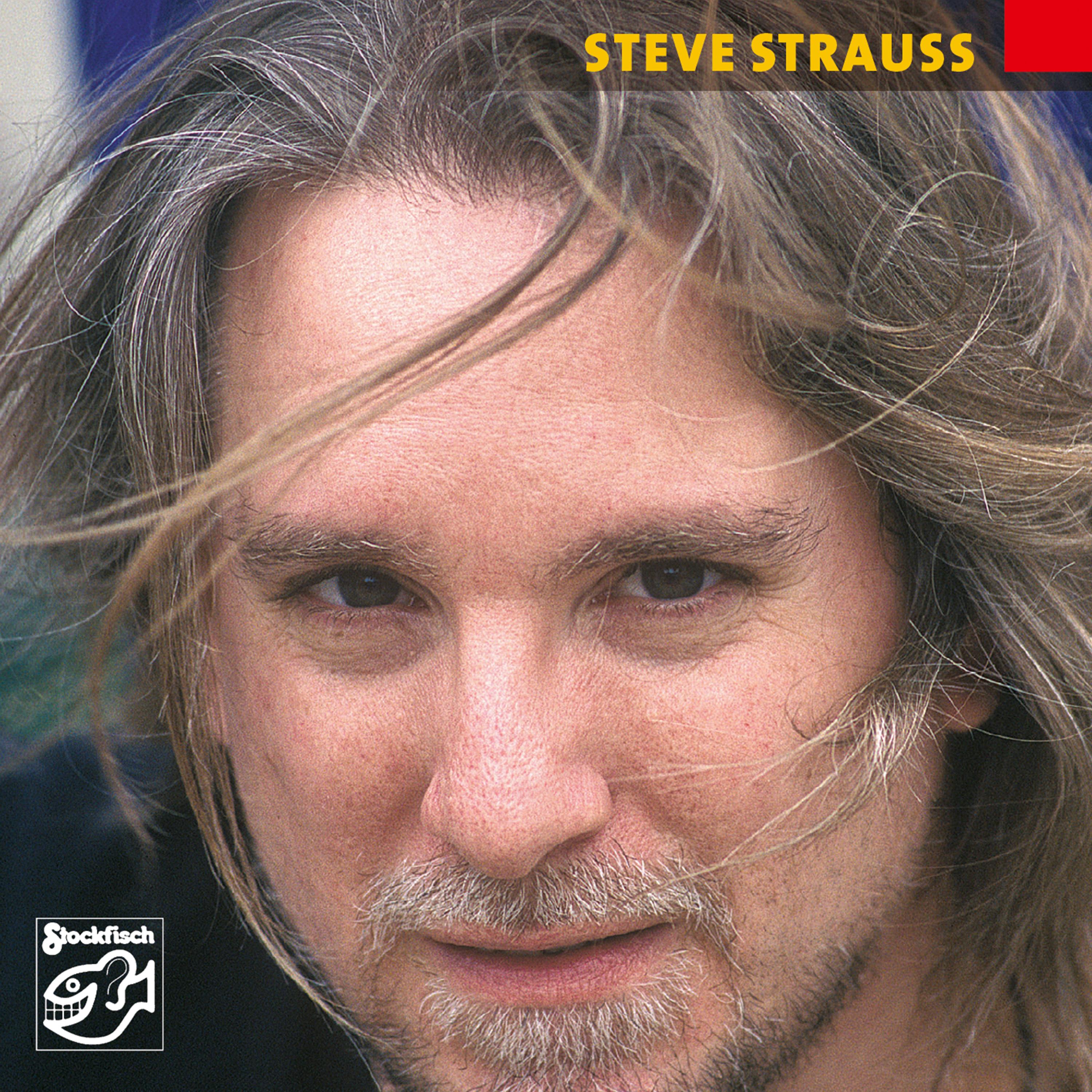 Youngstown - Steve Strauss - 单曲 - 网易云音乐