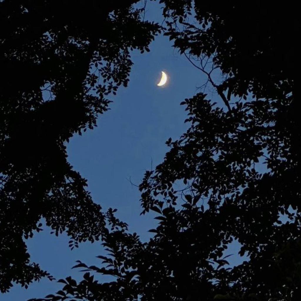 夜 - 歌单 - 网易云音乐