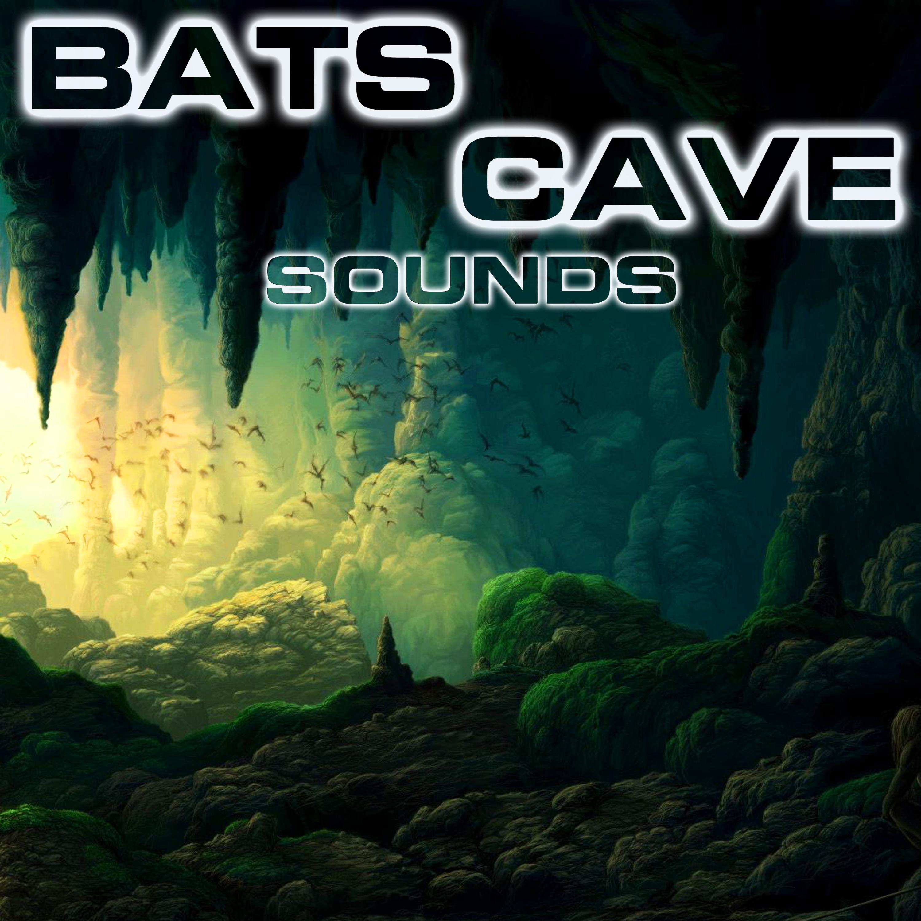 Soothing Bats Cave Sounds - Nature Sounds TM/Paramount Nature ...