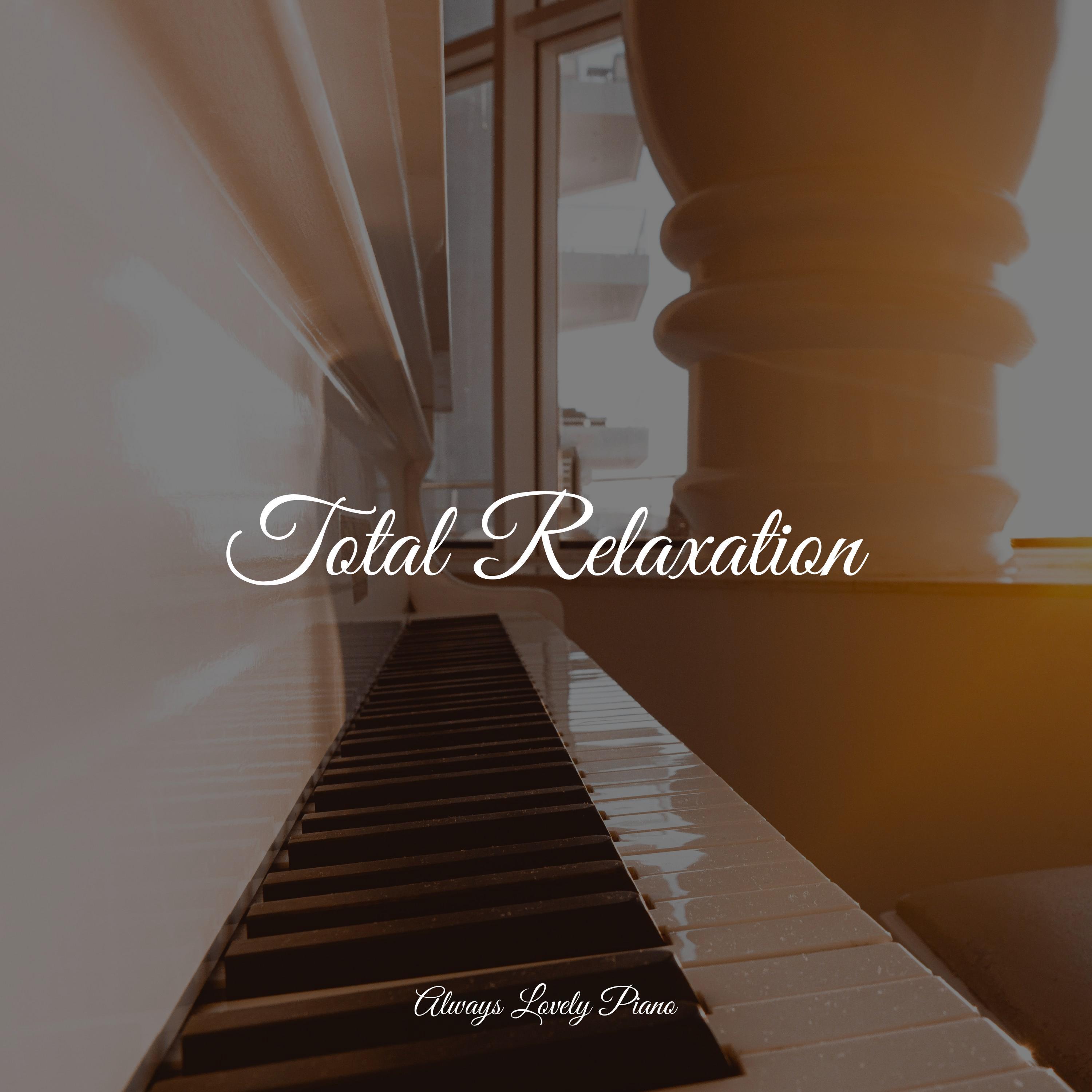 Total Relaxation - Bedtime Baby - 专辑 - 网易云音乐