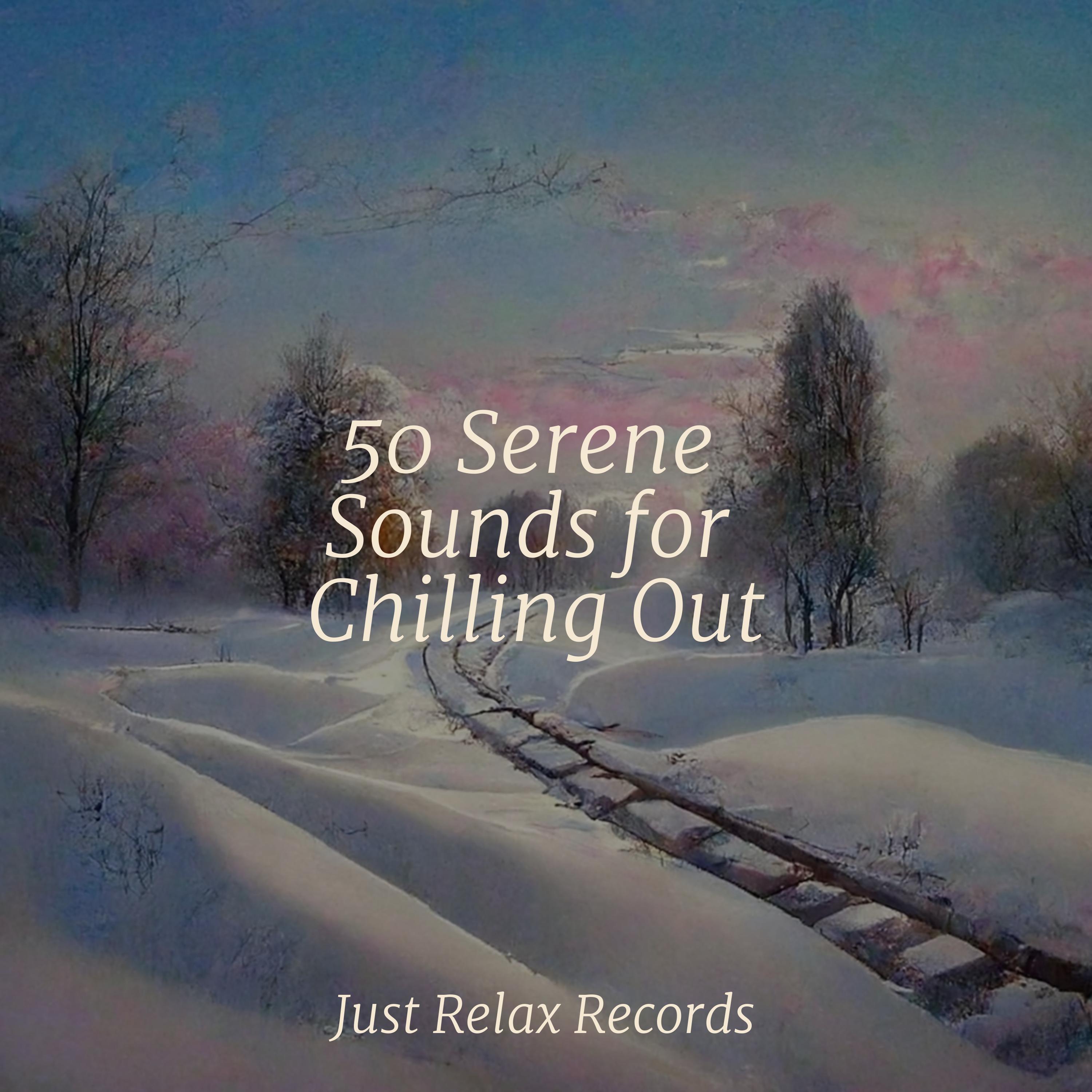 Ocean's Lulling Siren Song - Baby Lullaby/PowerThoughts Meditation Club ...