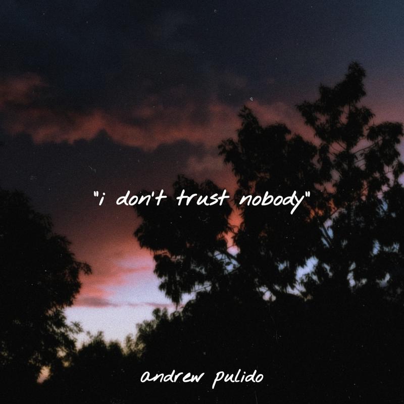 i don't trust nobody - Andrew Pulido - 单曲 - 网易云音乐