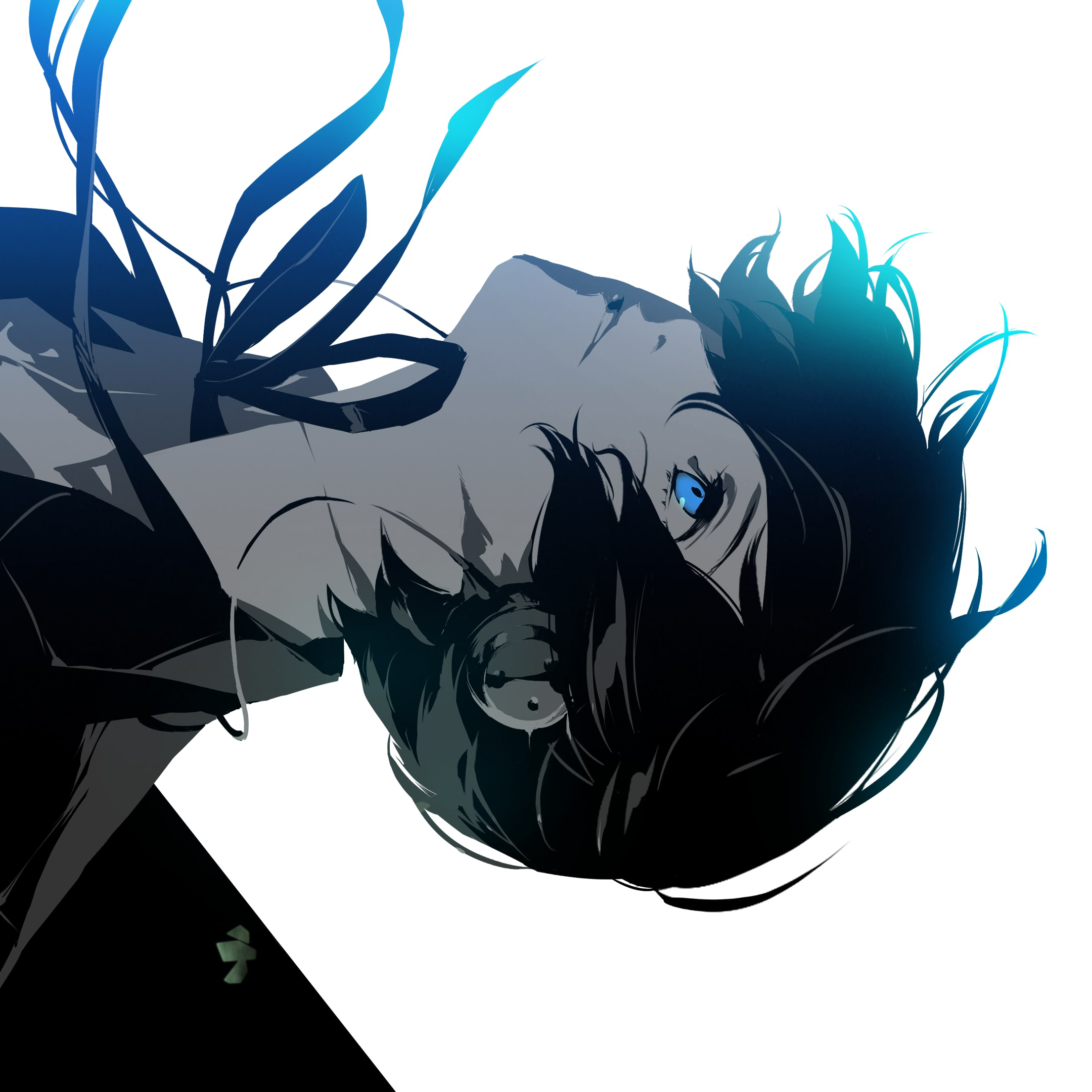 【P3R】Color Your Night (Full Ver.) - 明天你要摸鱼吗？ - 电台节目 - 网易云音乐