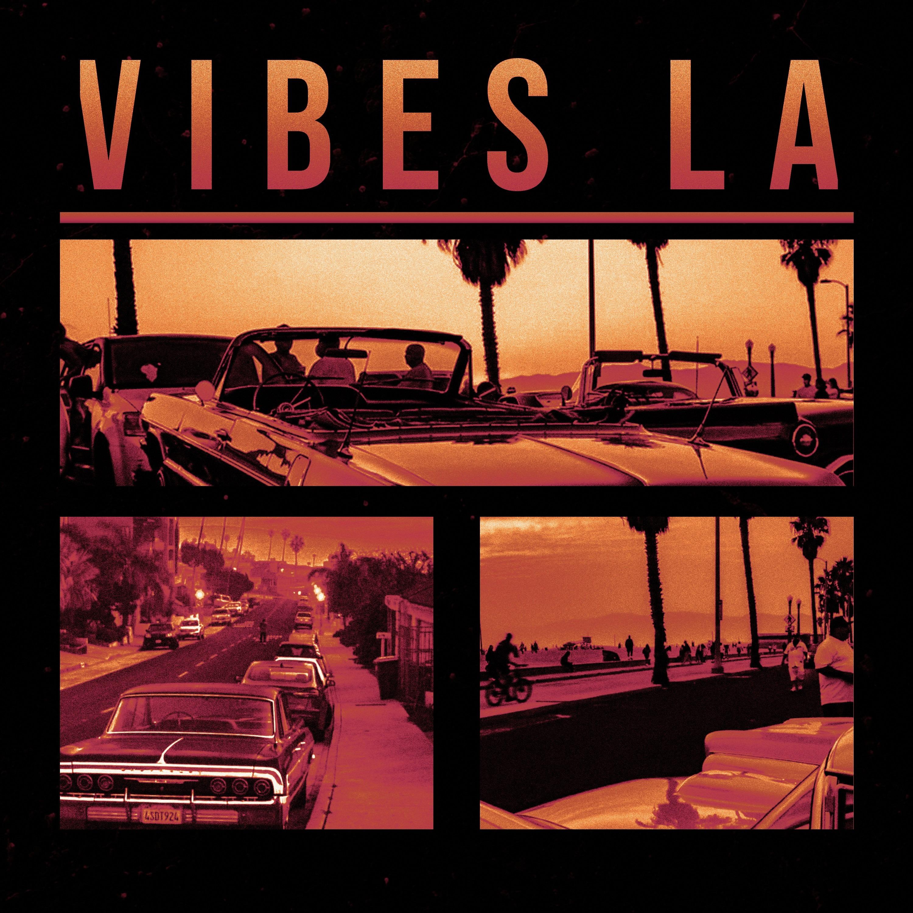 Vibes LA - Bryvn808/LAP - 单曲 - 网易云音乐