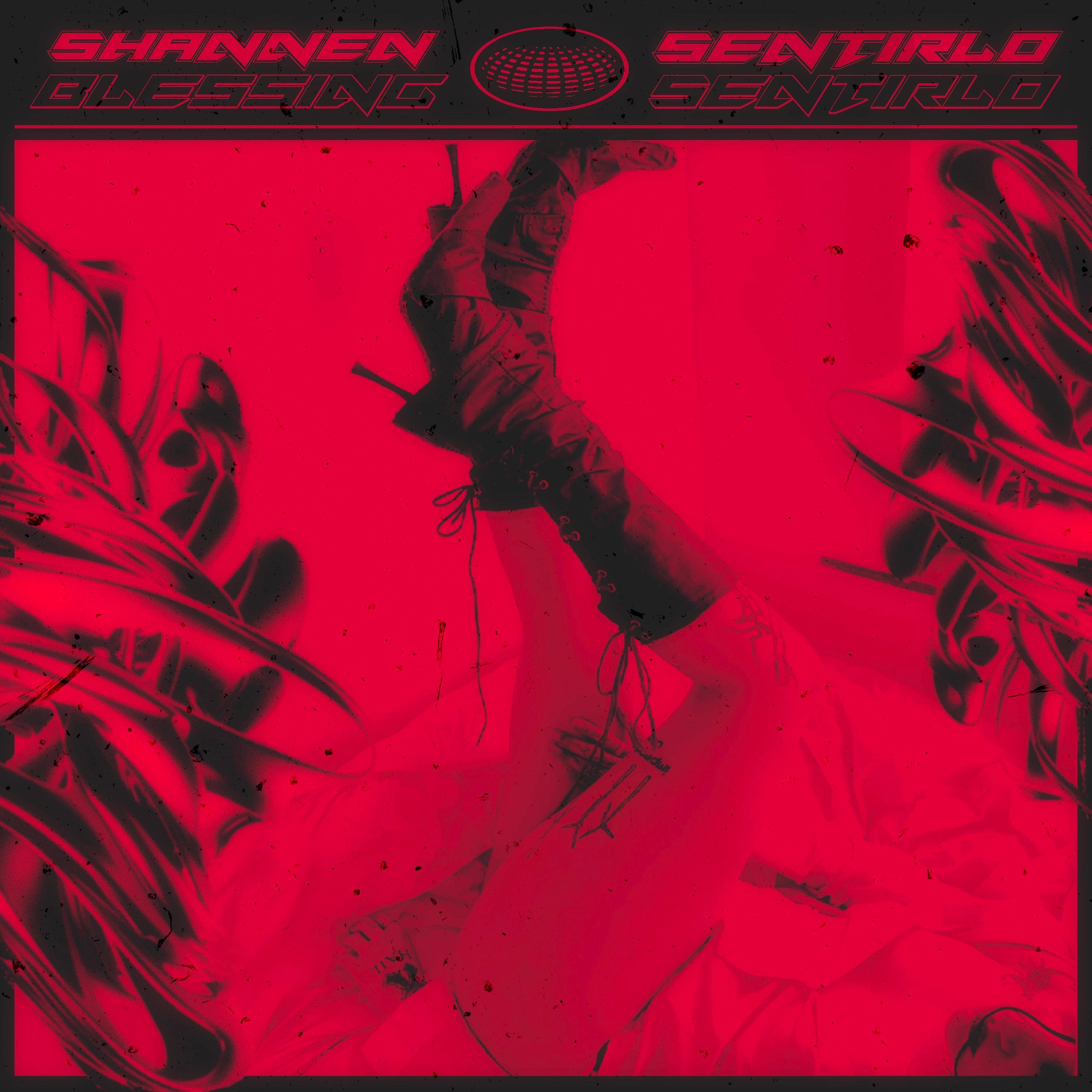 Sentirlo (feat. Vodka Redbull) - Shannen Blessing/Vodka Redbull - 单曲 ...