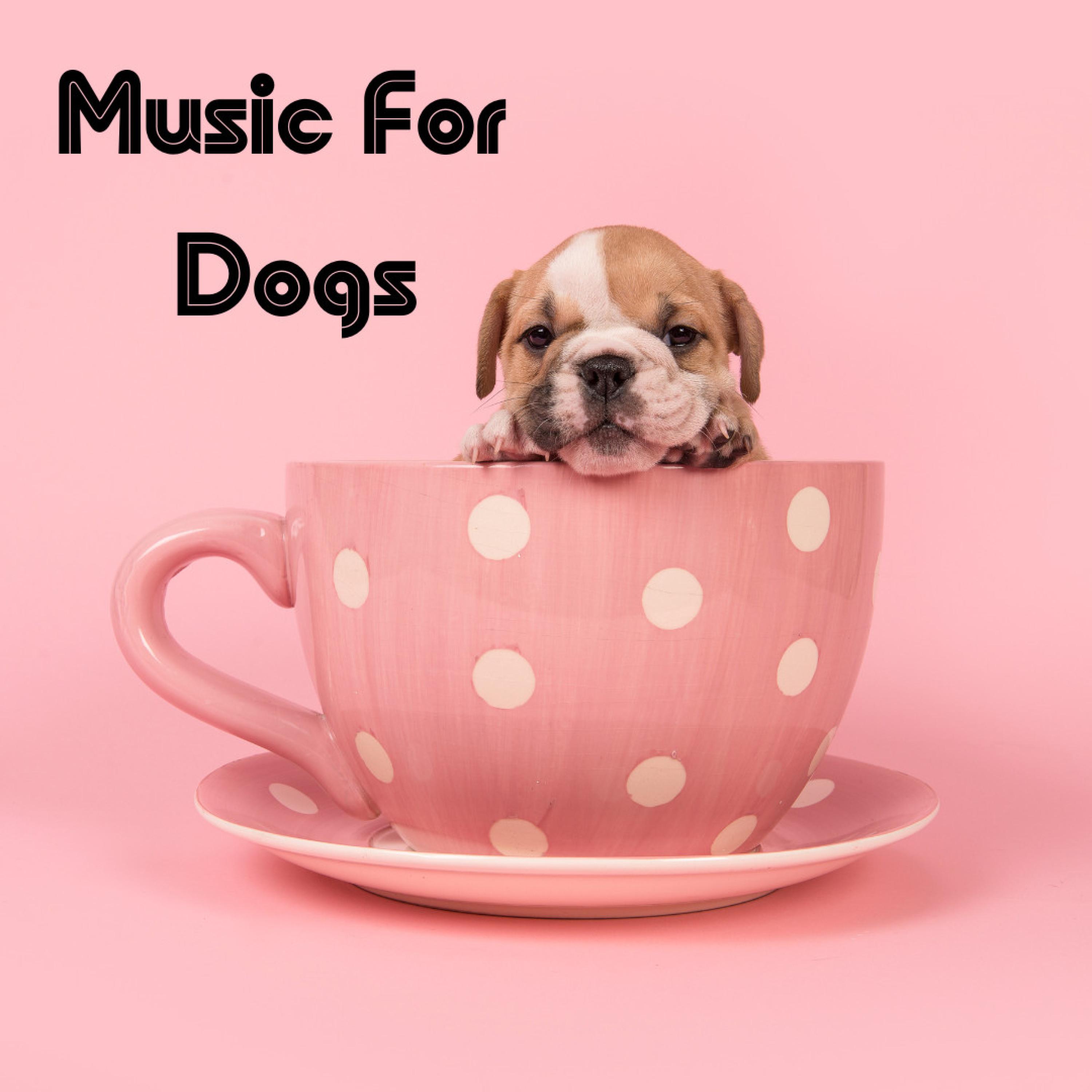 Cope with Anxiety - Music For Dogs/Music For Dogs Peace/Relaxing Puppy ...