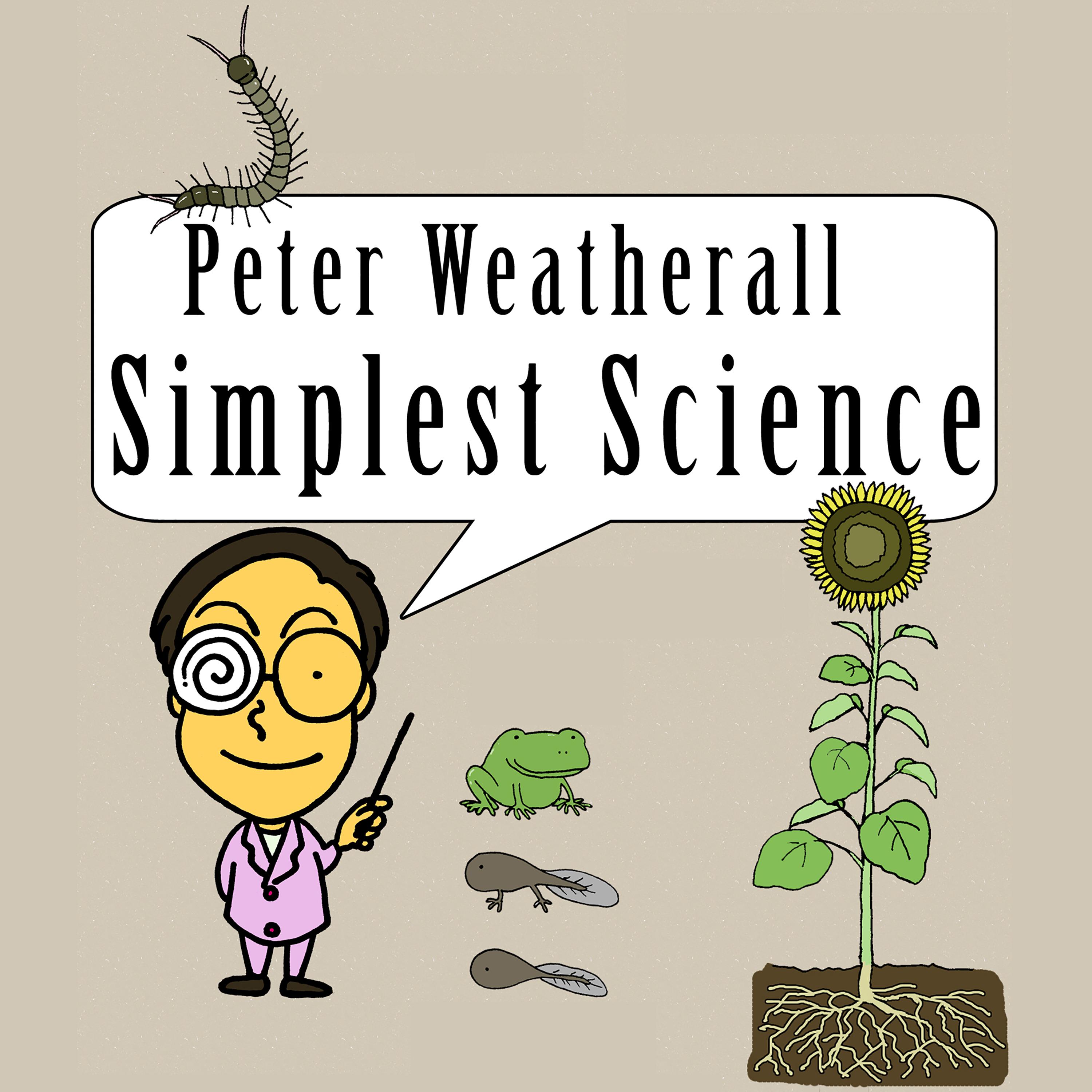 Plants and Animals - Peter Weatherall - 单曲 - 网易云音乐