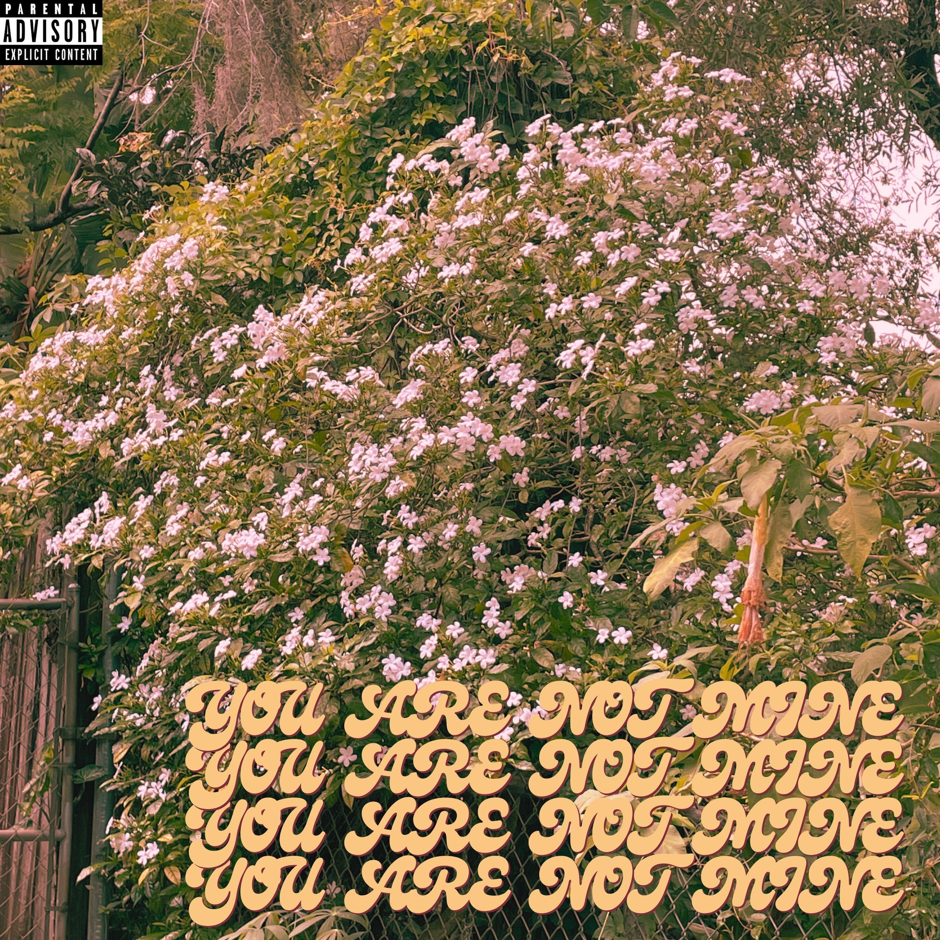 You Are Not Mine! - ERW!N - 专辑 - 网易云音乐