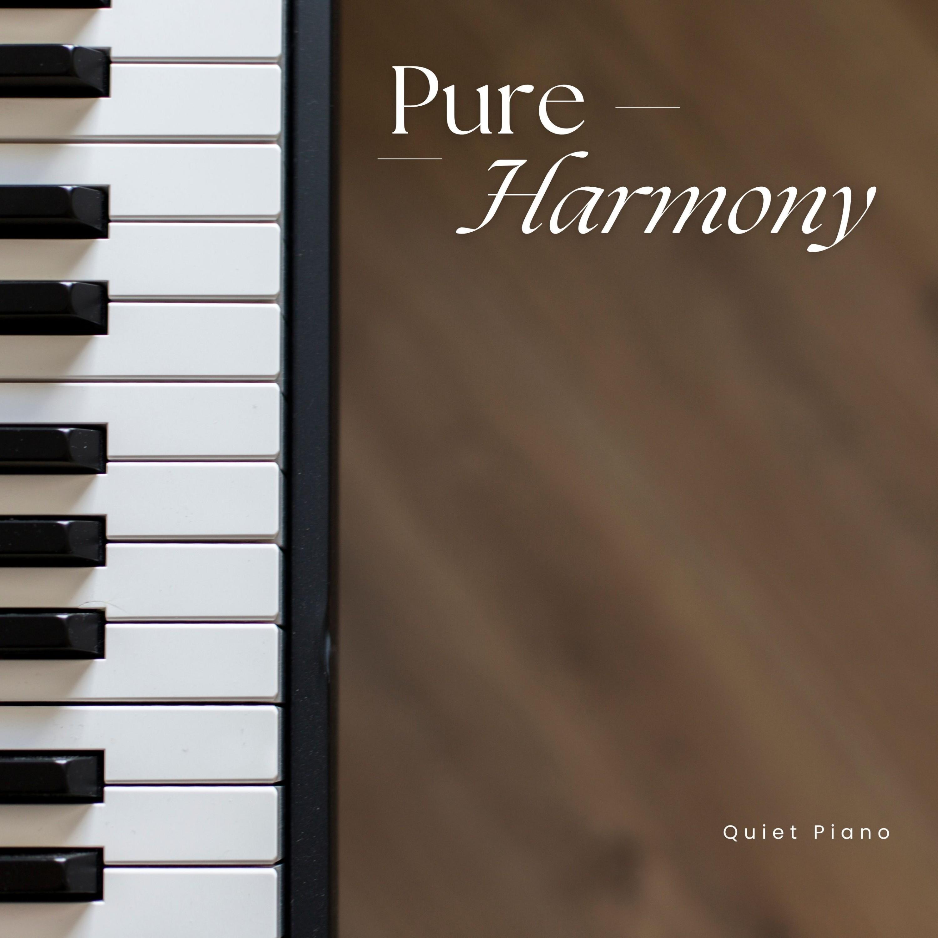 Piano Concentration Music - Quiet Piano - 单曲 - 网易云音乐