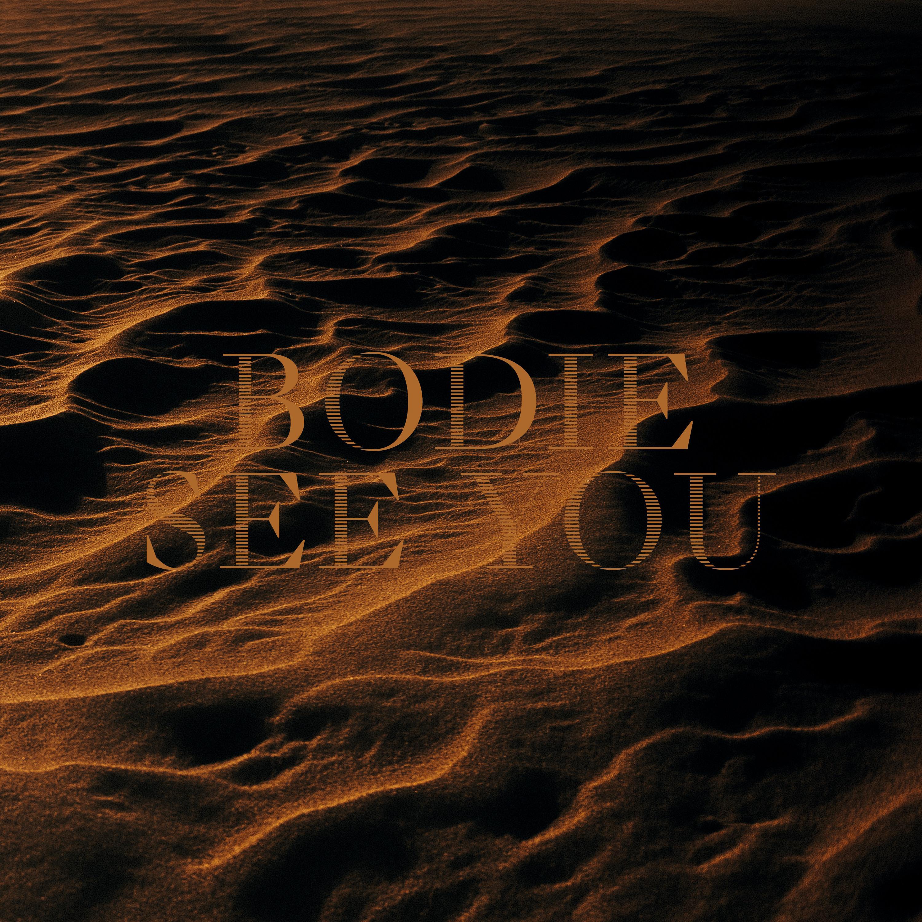 See You - Bodie - 专辑 - 网易云音乐